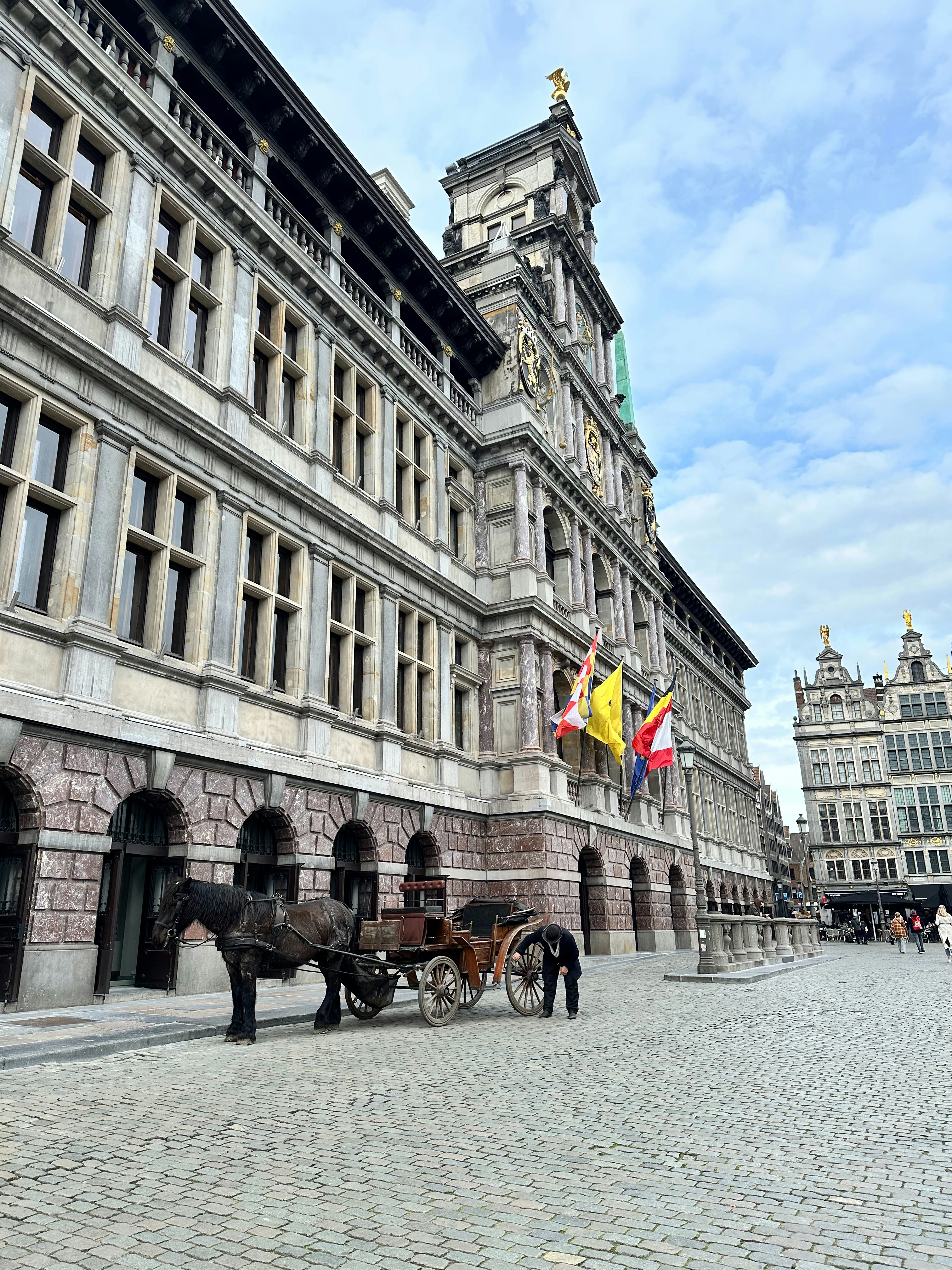 Flagged Facade and Horse-Drawn Pause: A European Town Hall Square