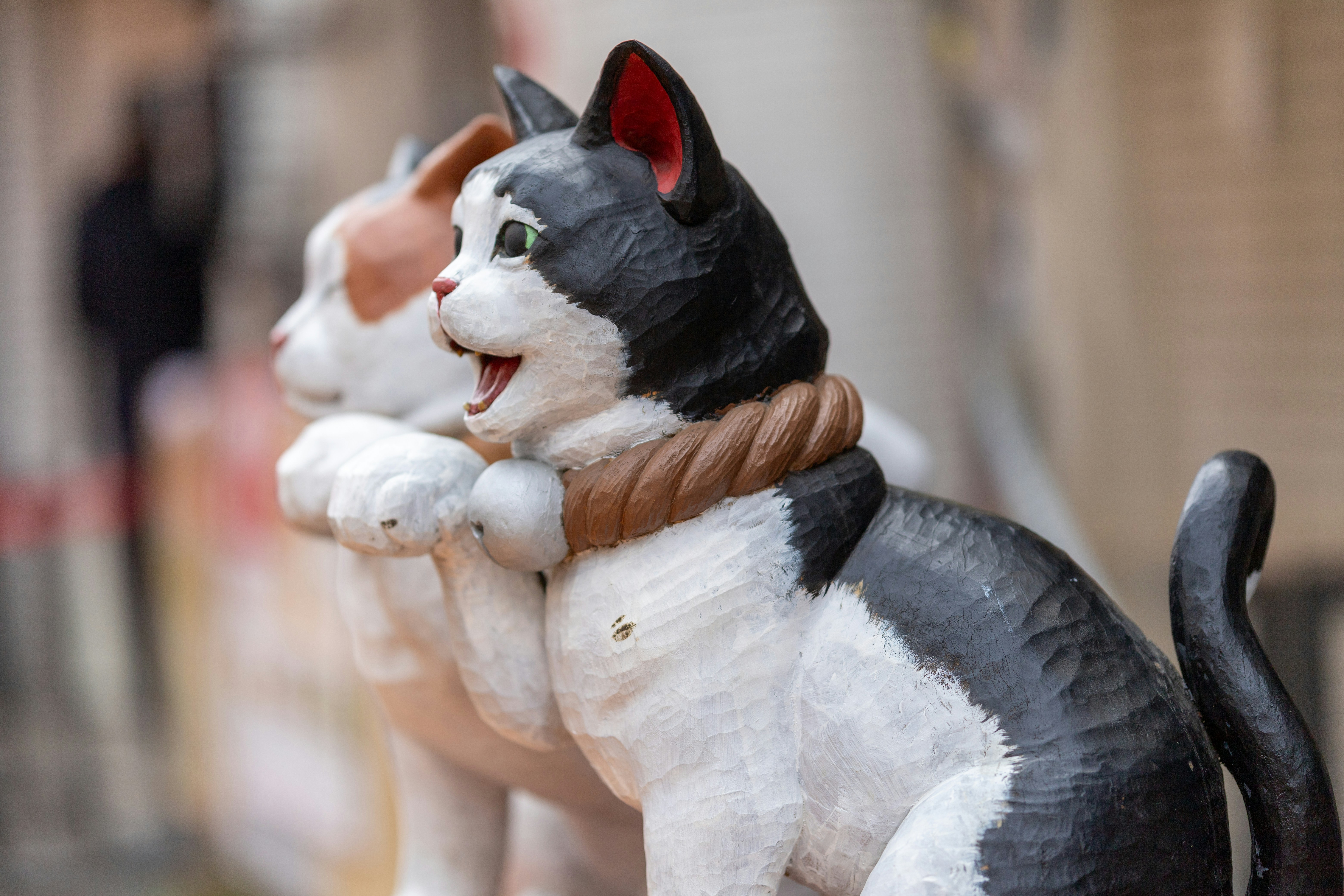 Whiskers on the Corner: A Street-Side Cat Duo in Focus