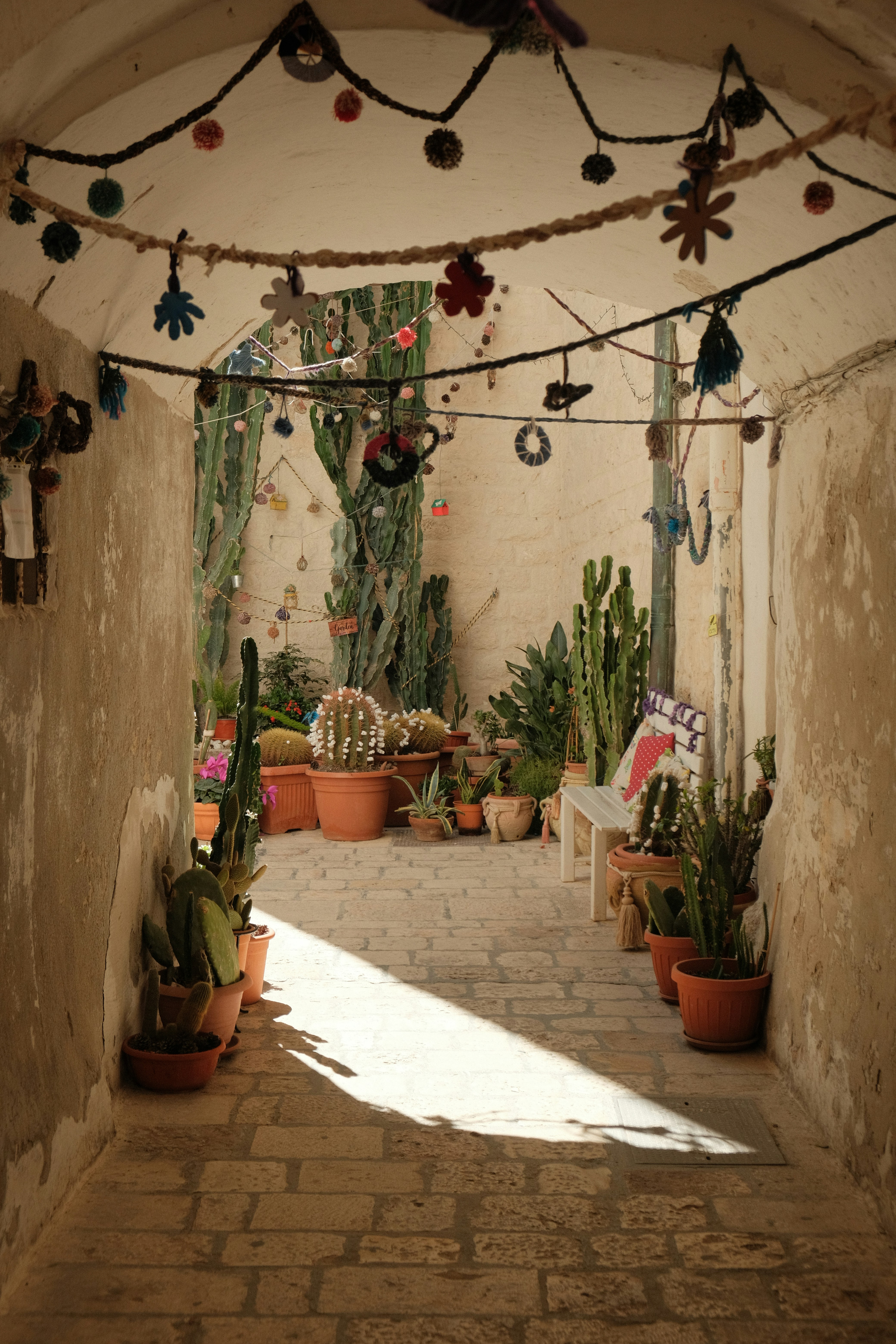 Sunlit Corridor of Pots: Desert Cacti in a Stone Courtyard