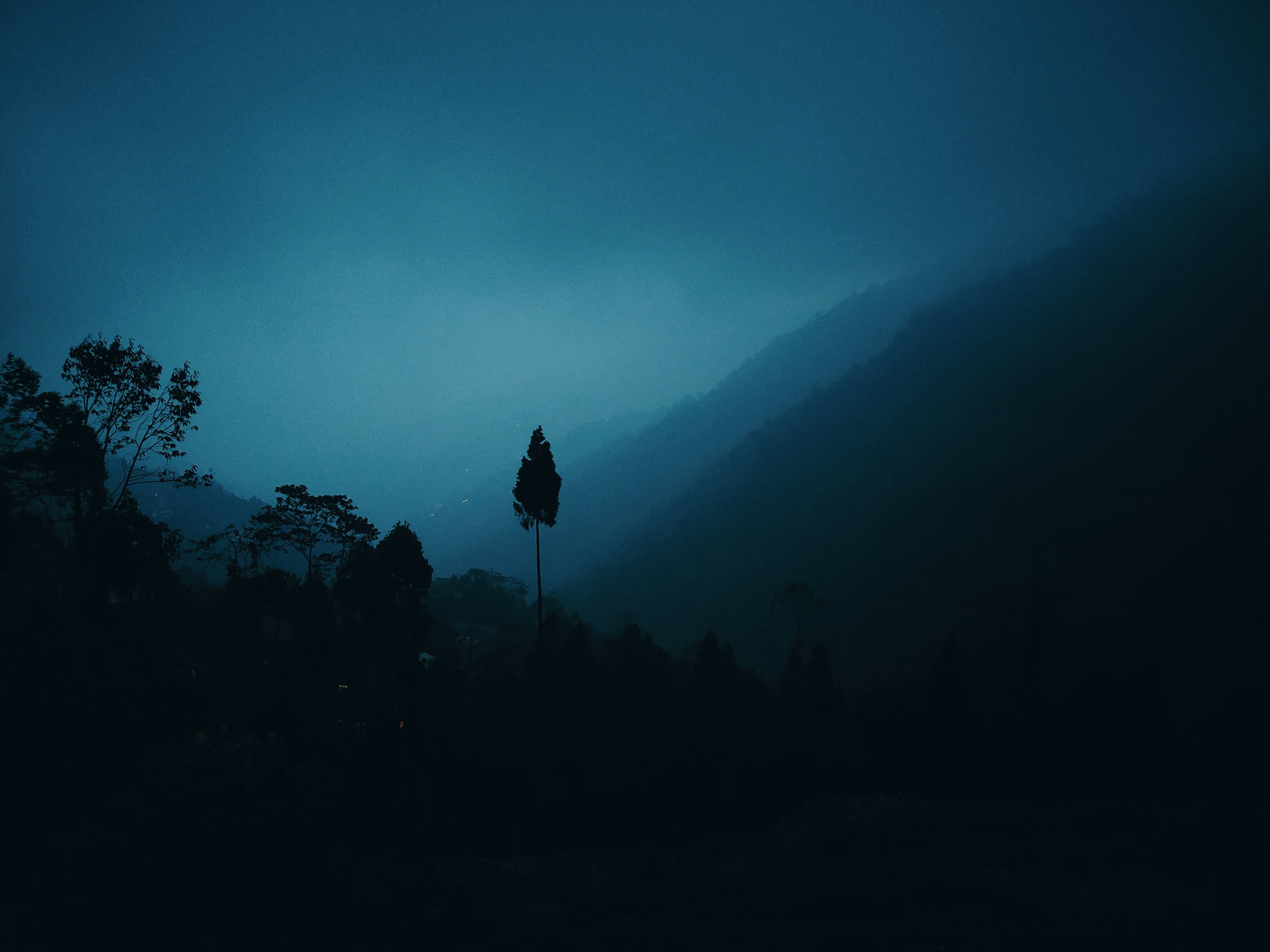 Lone Cedar in a Cobalt Mist Over a Silent Ridge