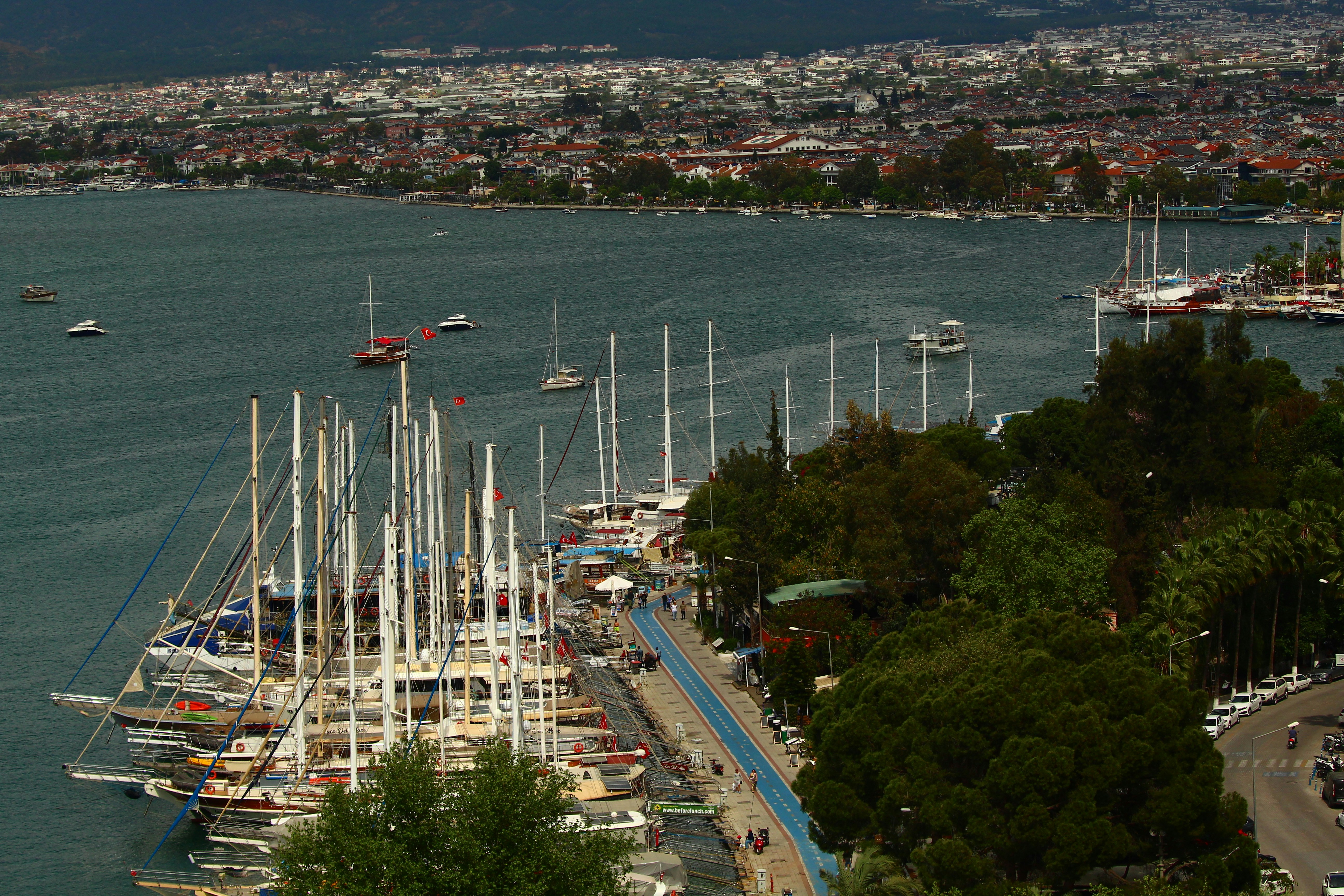 Mast Forest Over a Blue Marina: Boats, Trees, and a Distant City Horizon