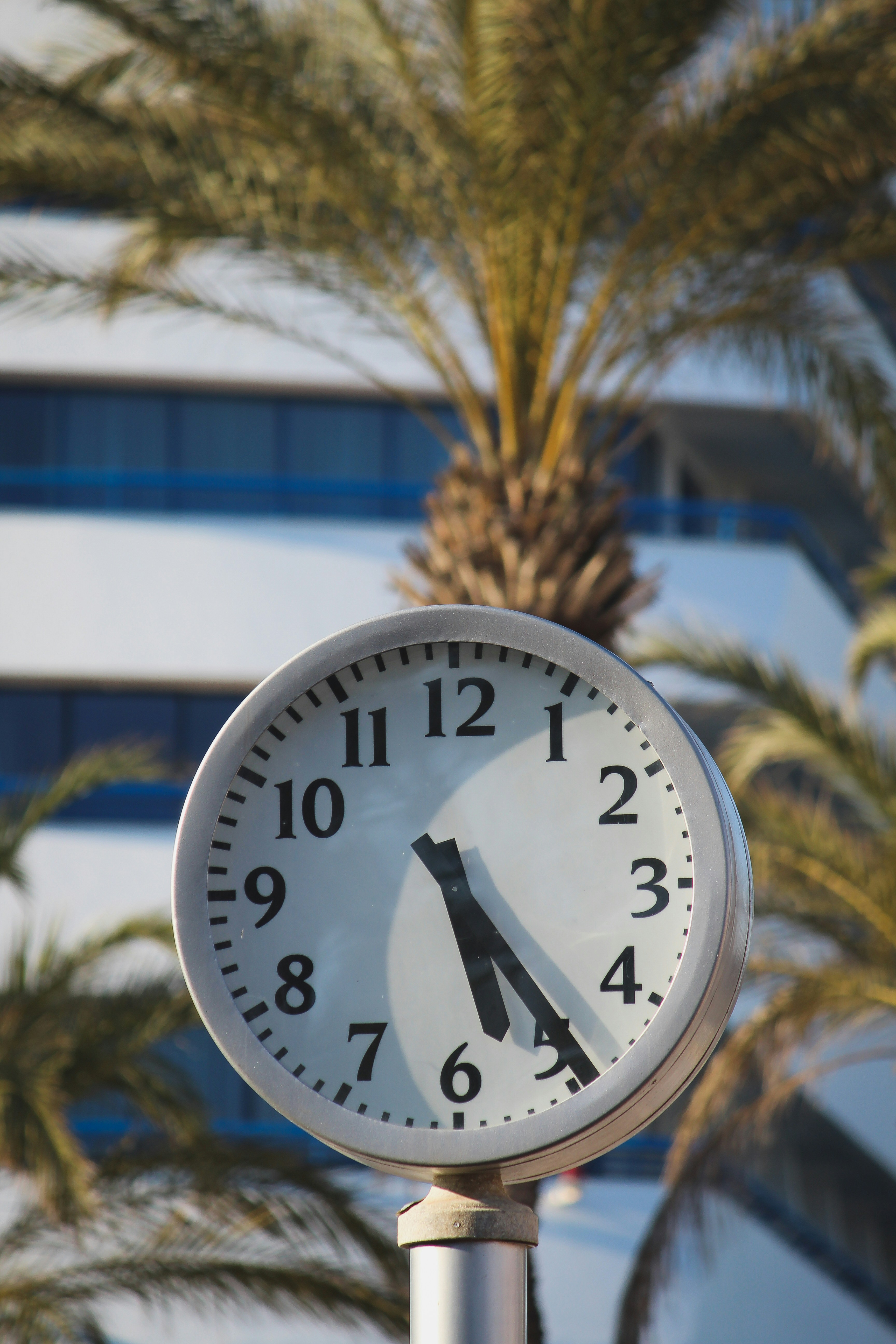 Time in Palm Shadows: A Clock Framed by Neon Palm Architecture