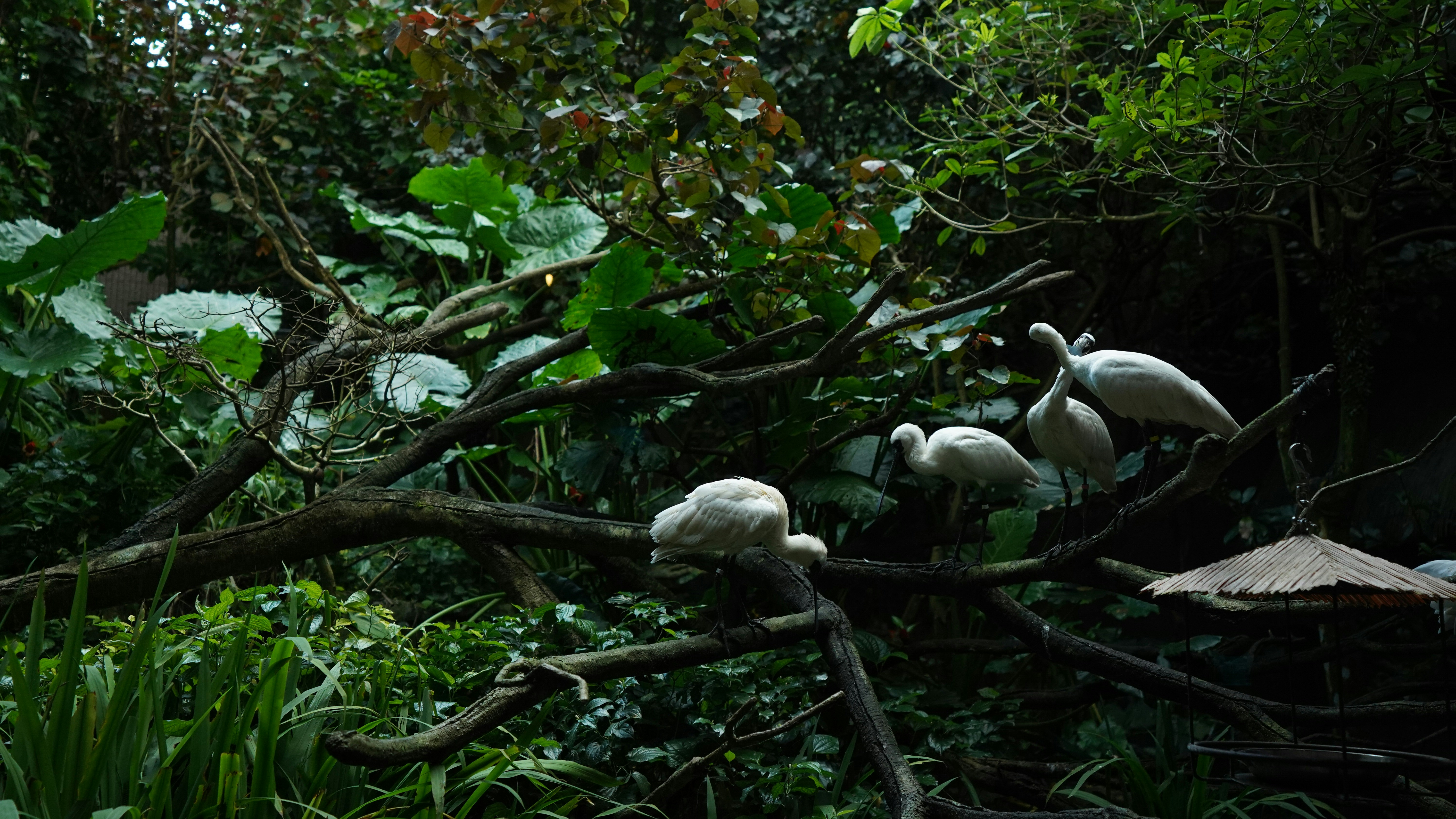 Photo by Elizabeth Mary with Sony Alpha 7 III