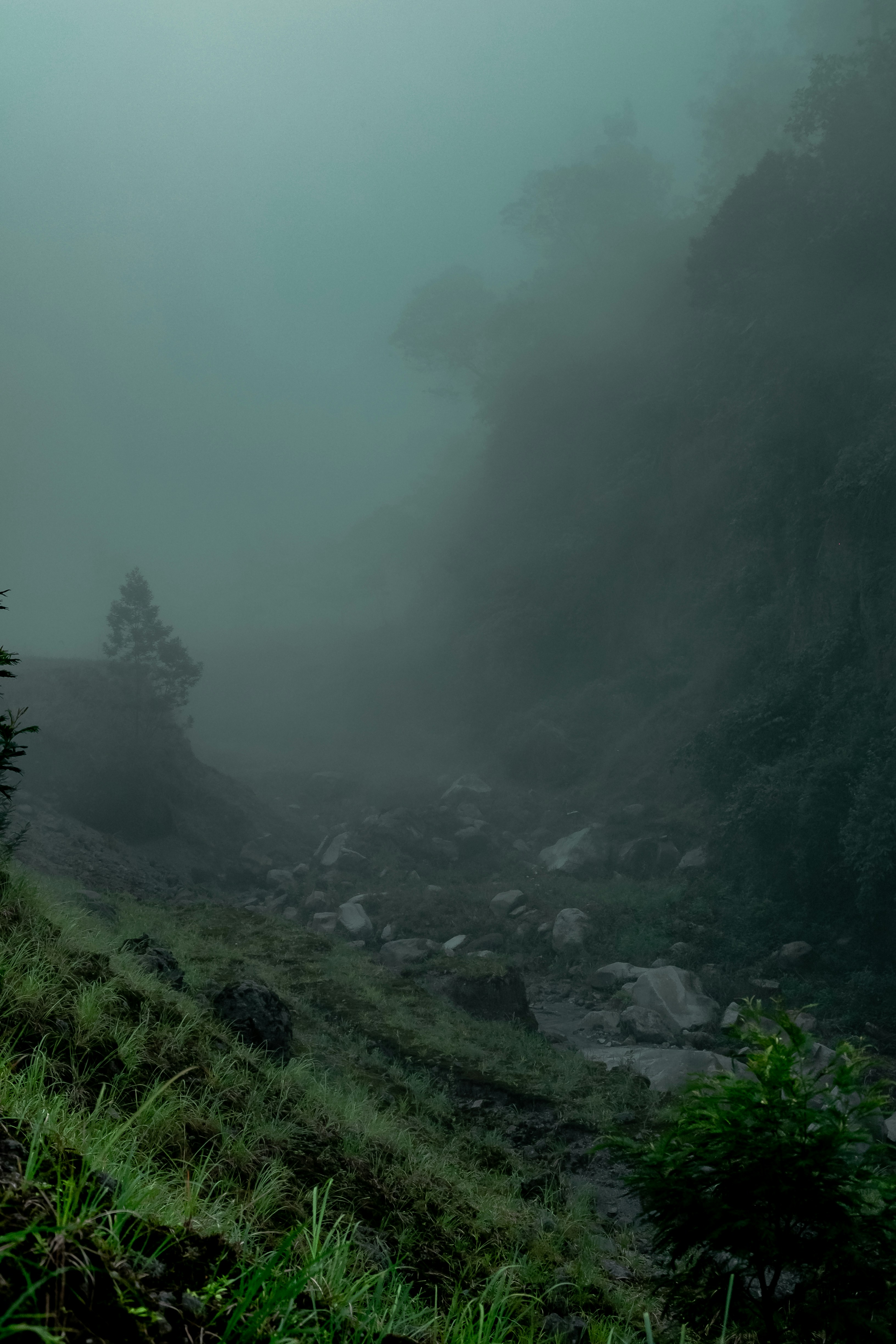 A foggy forest with a stream running through it photo – Free Natural ...
