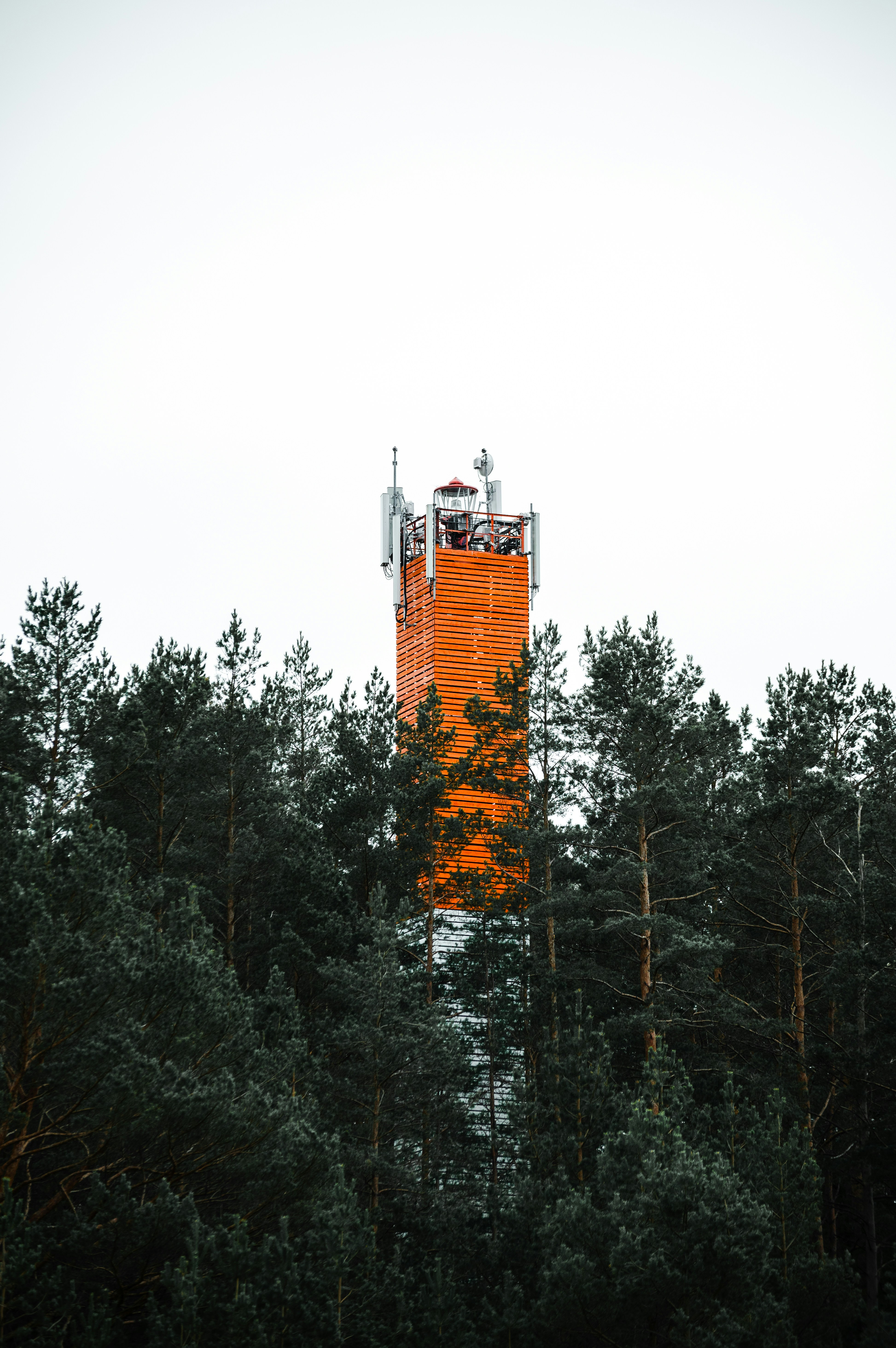 A tall tower sitting above a forest filled with trees photo – Free ...