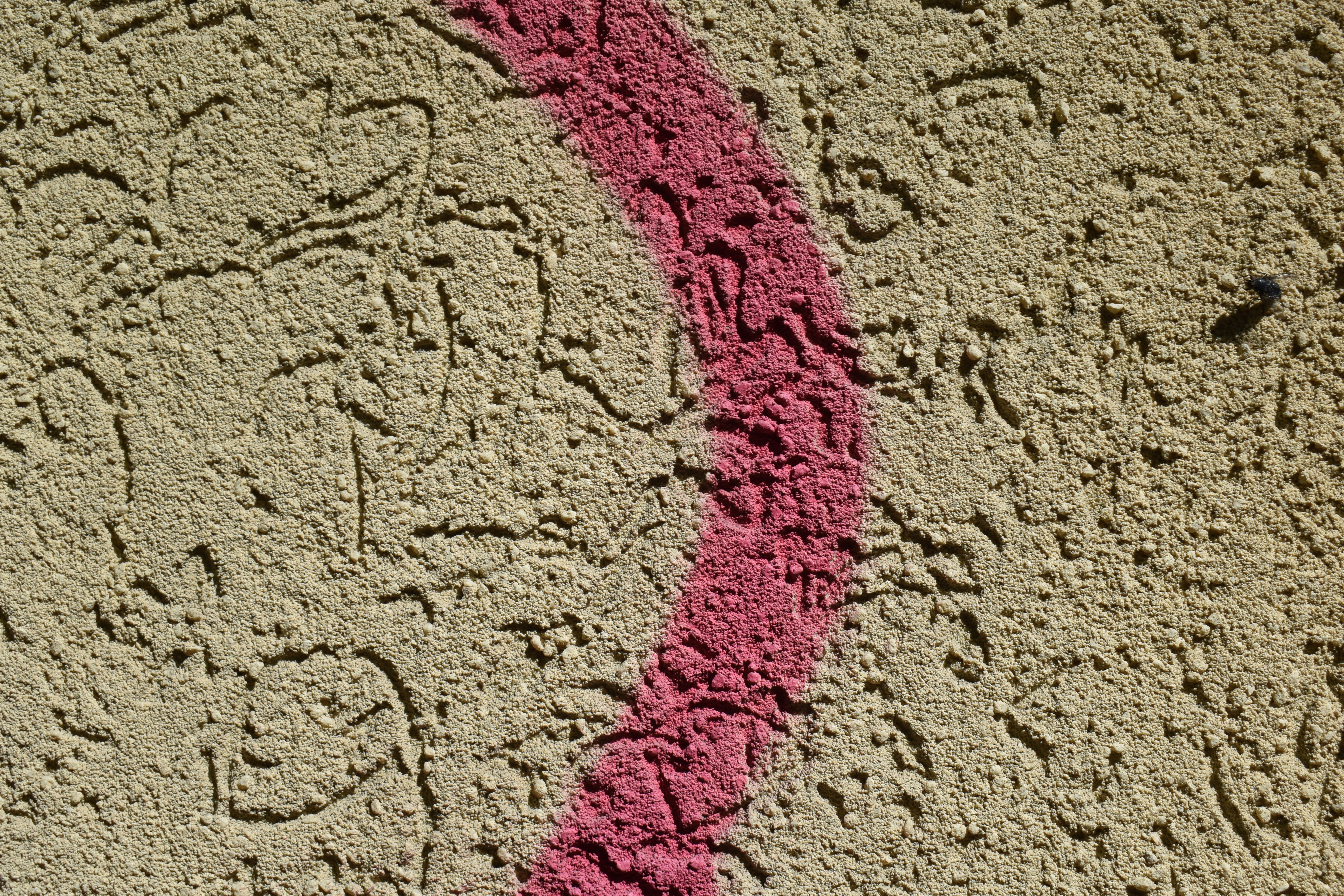 Pink Crescent Mark on Sand: Traces of Quiet Play