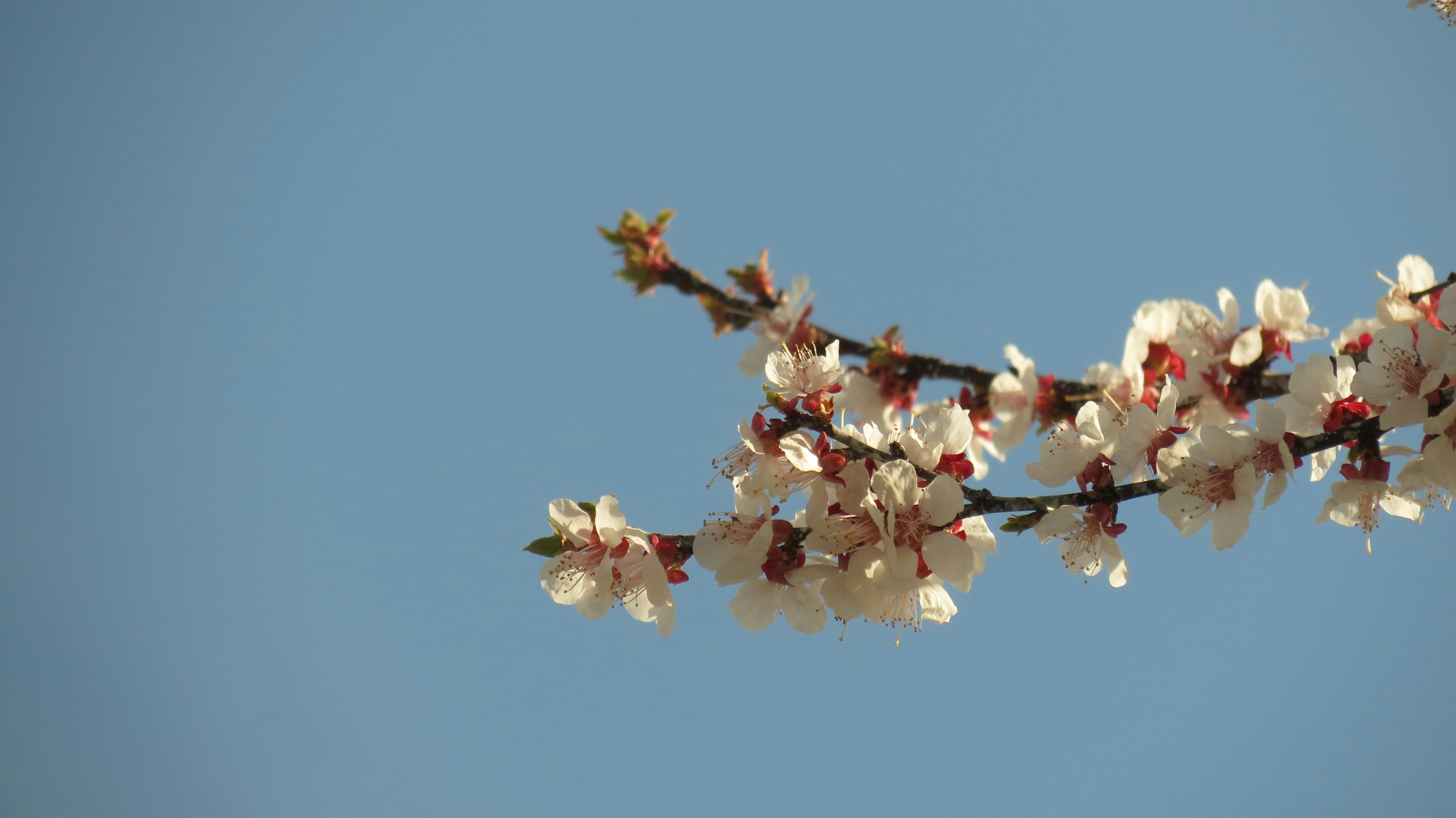 Photo by Leslie Hifli with Canon PowerShot SX40 HS