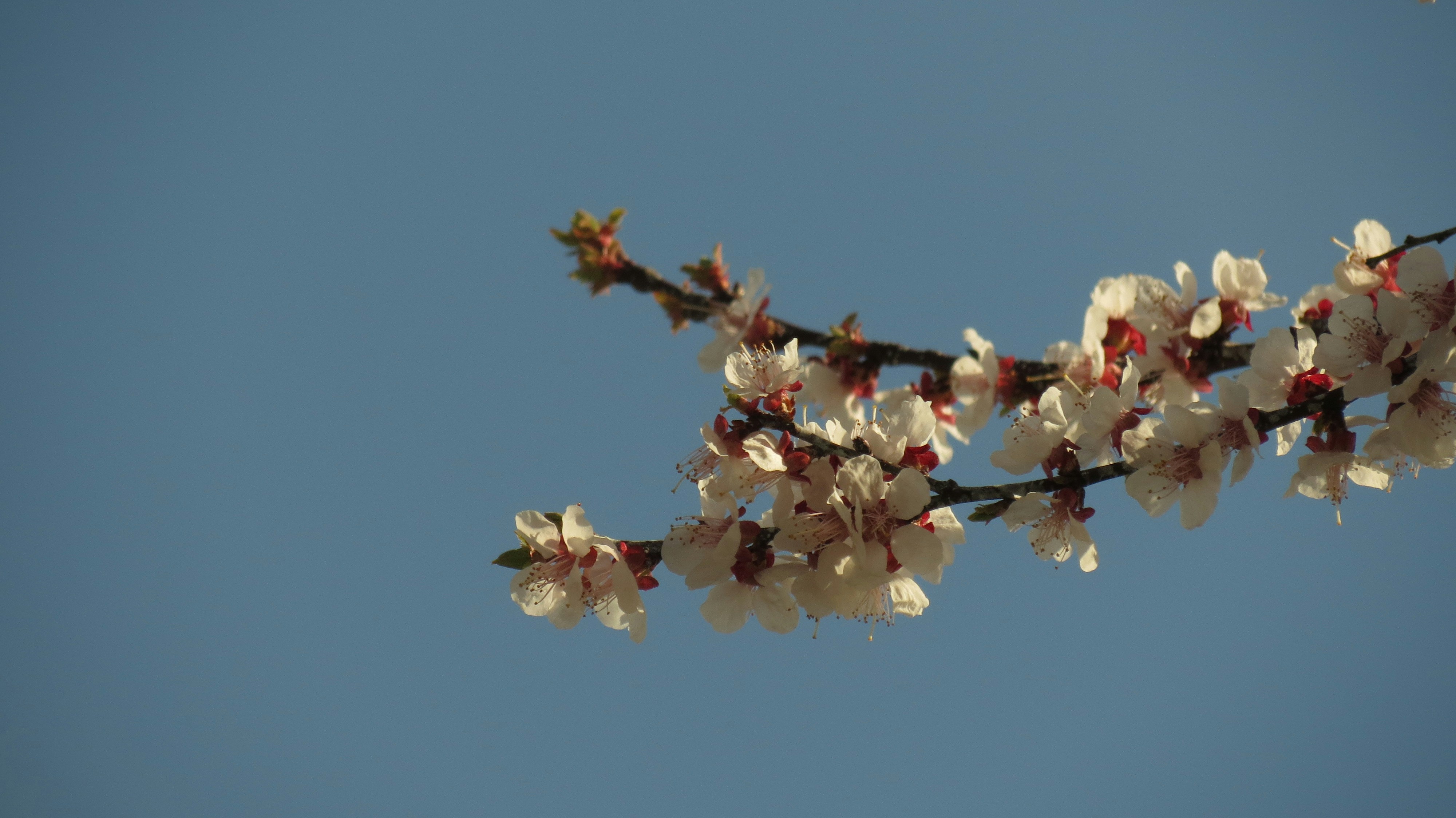 Photo by Leslie Hifli with Canon PowerShot SX40 HS