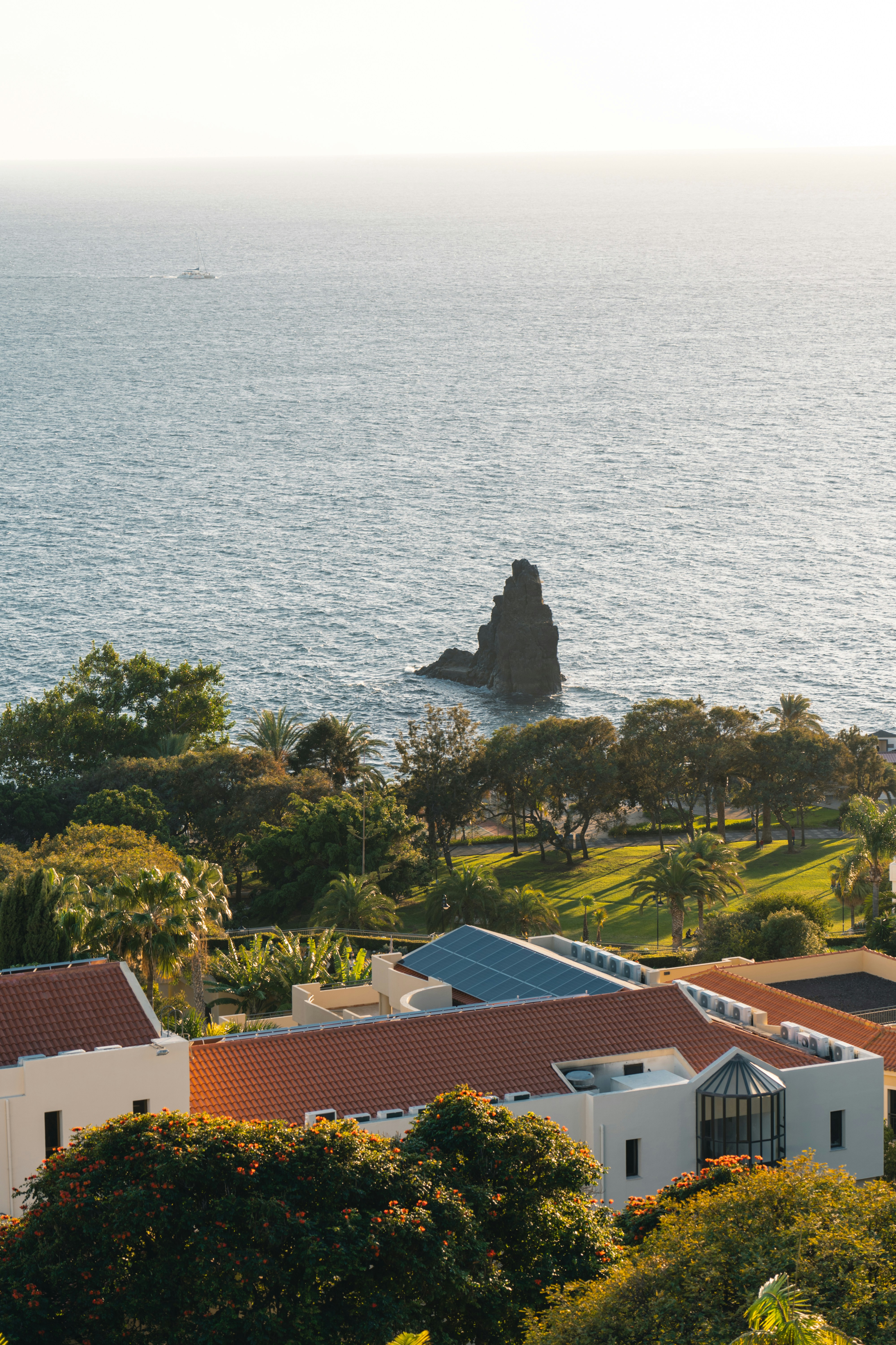 Rock Spire Over a Palm-Fringed Coastline in Warm Afternoon Light