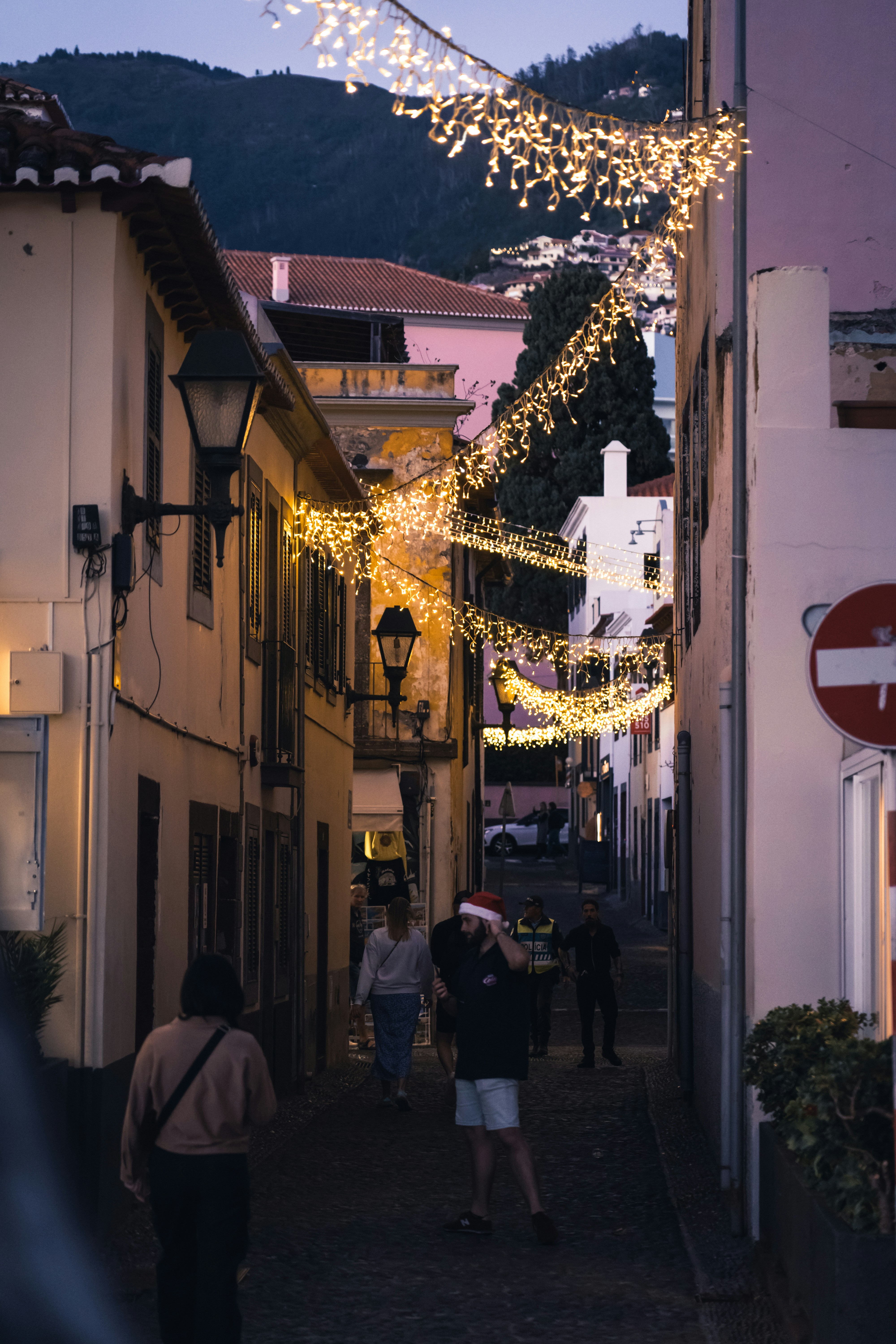 Festooned Lane: Evening Stroll Beneath Warm Holiday Lights