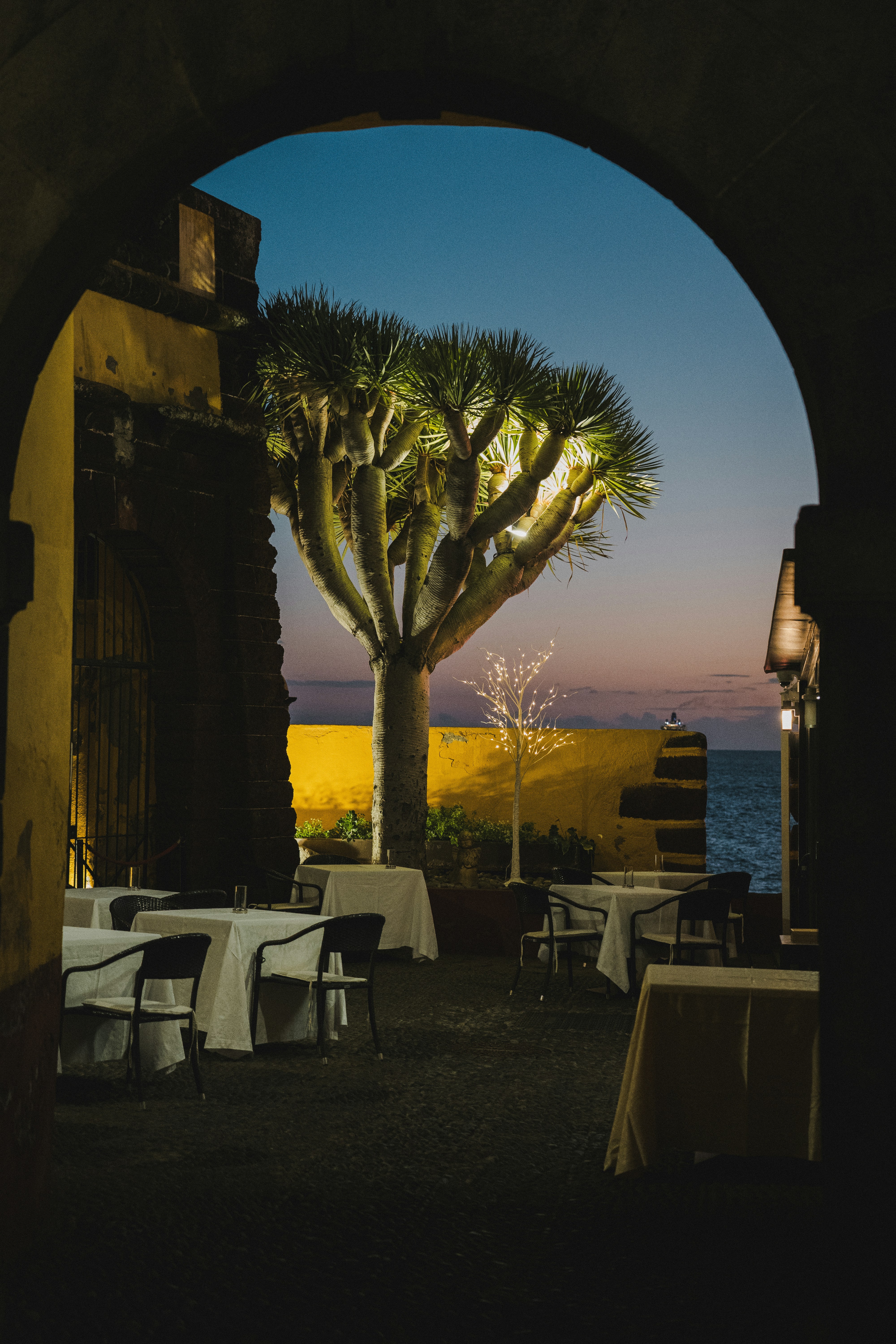 A restaurant with a palm tree in the background photo – Free Palm tree ...