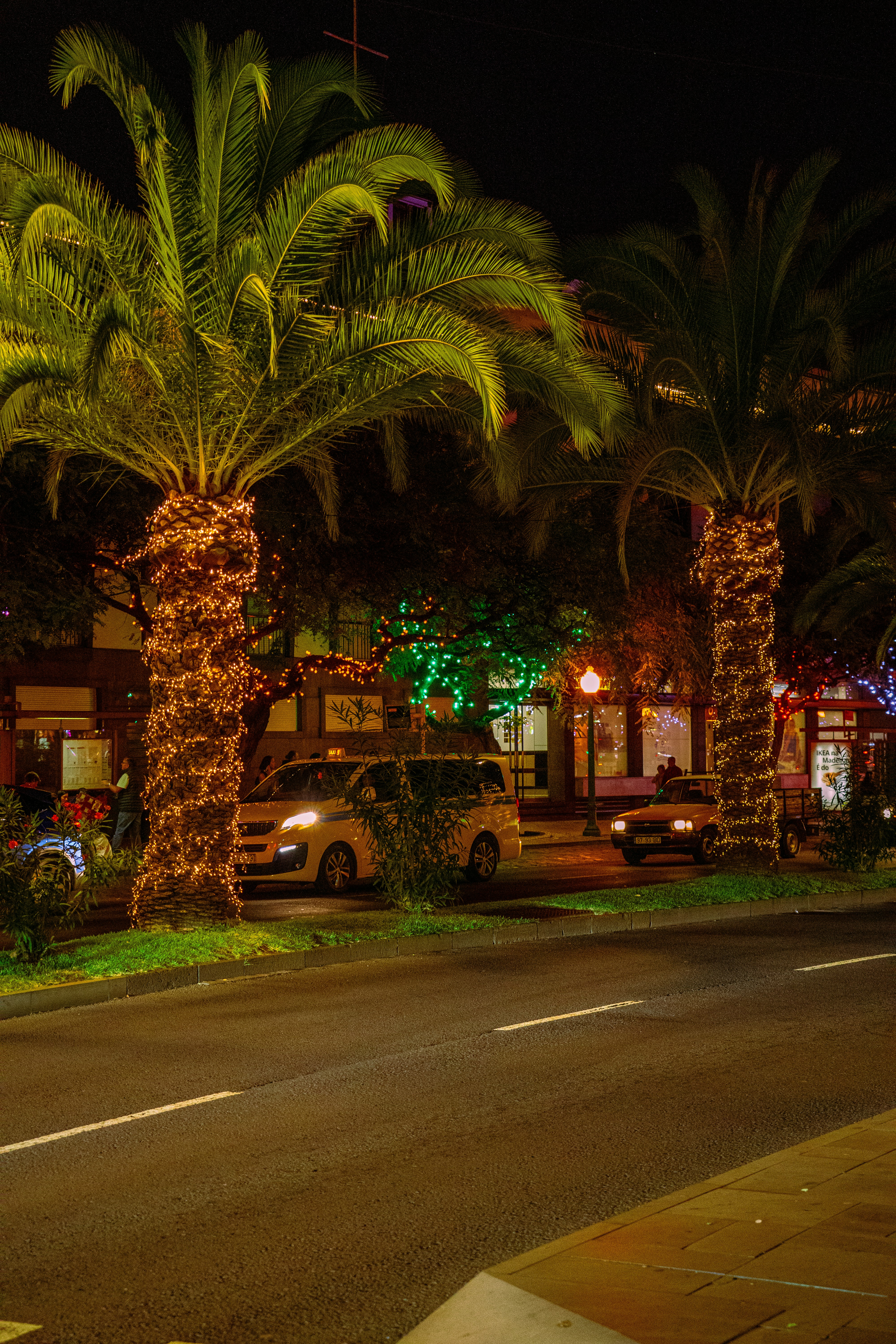 Photo by Gytis Bukauskas with Sony Alpha 7 III