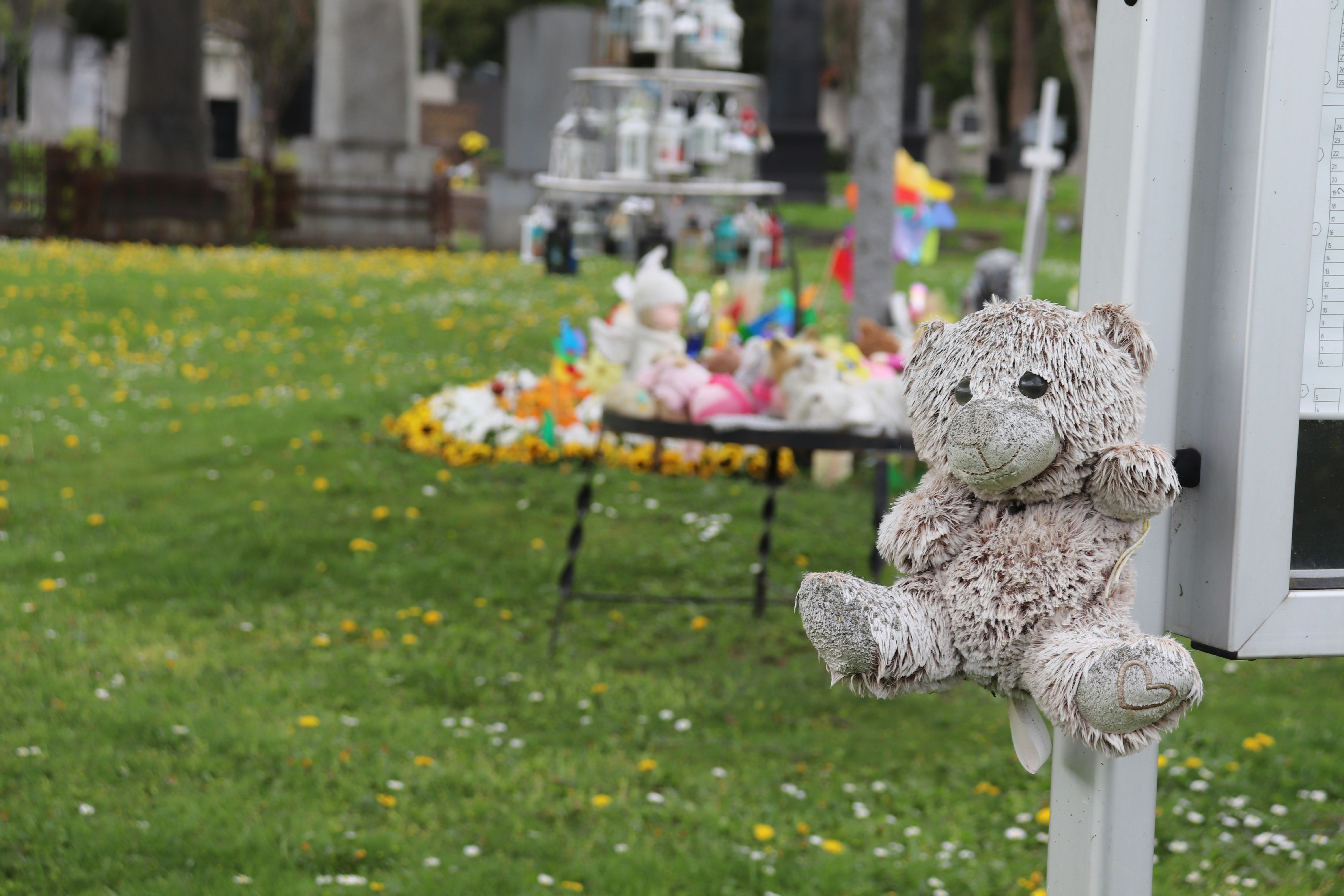 A worn teddy bear hangs from a signpost in a cemetery, surrounded by colorful tributes and flowers, symbolizing love and memory.
