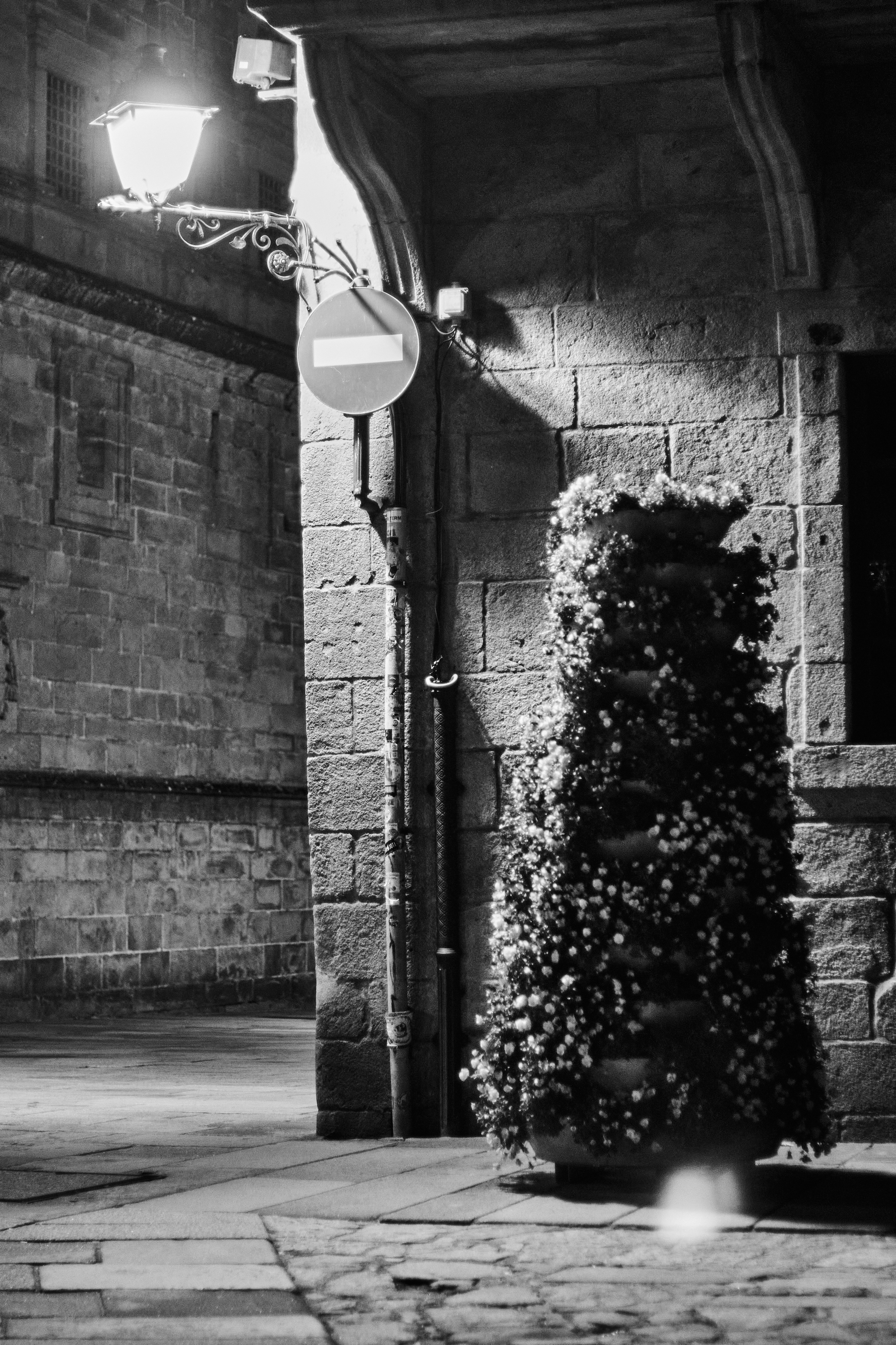 Nightfall in a Stone Arcade: Ivy-Crowned Conical Plant by a Lantern-Lit Corner