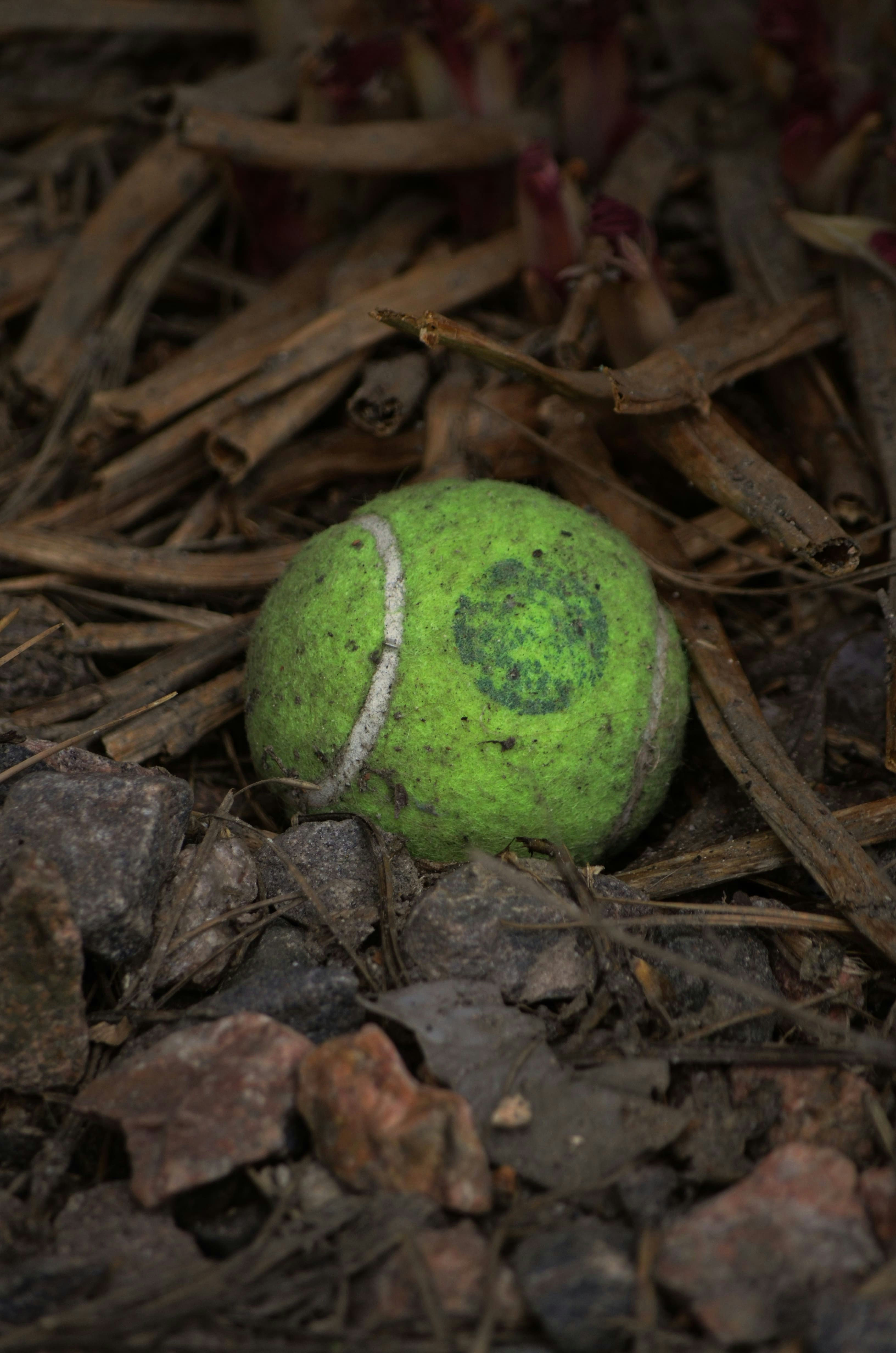 A weathered green tennis ball nestled among dry twigs and stones, hinting at past games and adventures.