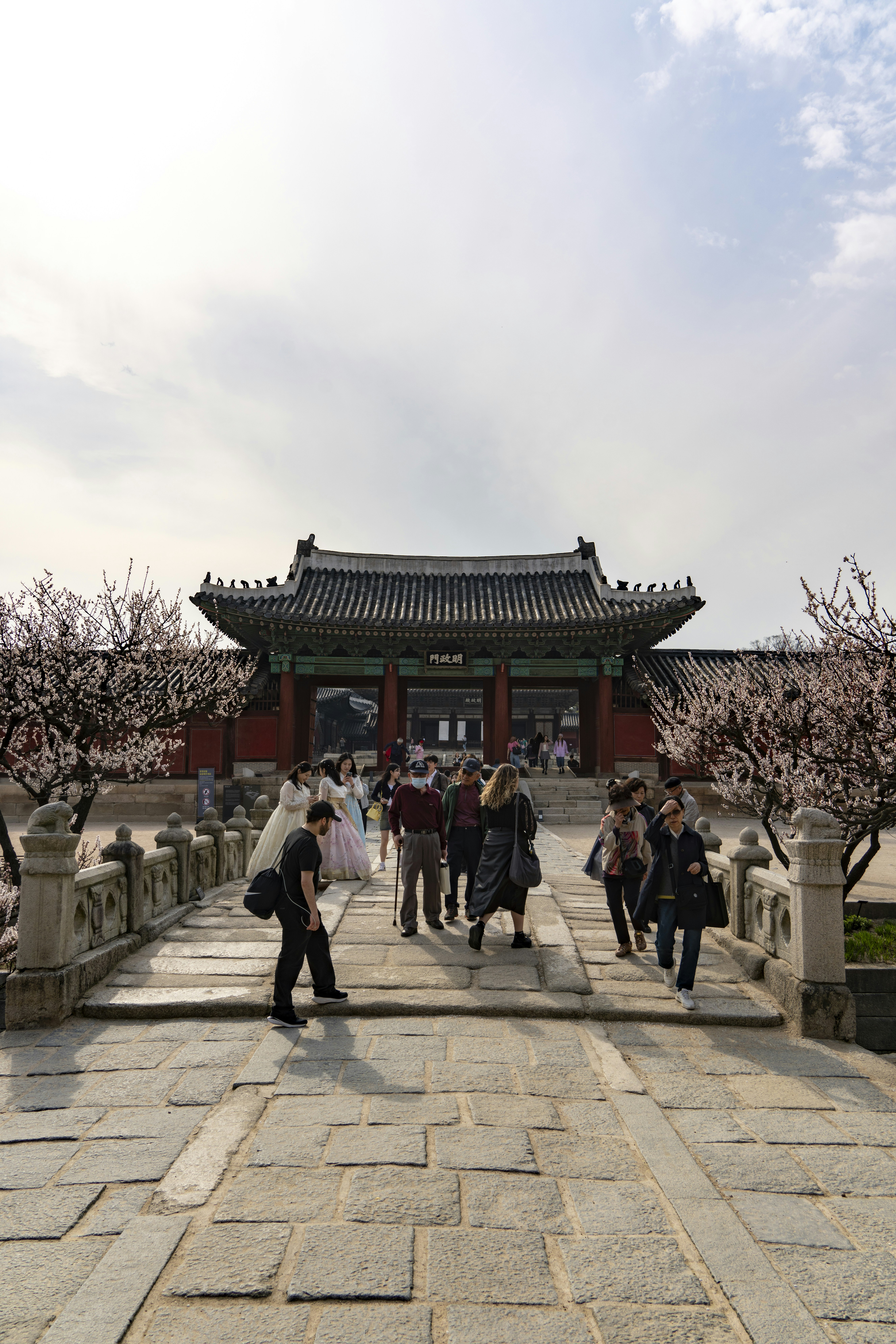 Gate of Spring: Visitors Gather Before a Traditional Temple Framed by Cherry Blossoms