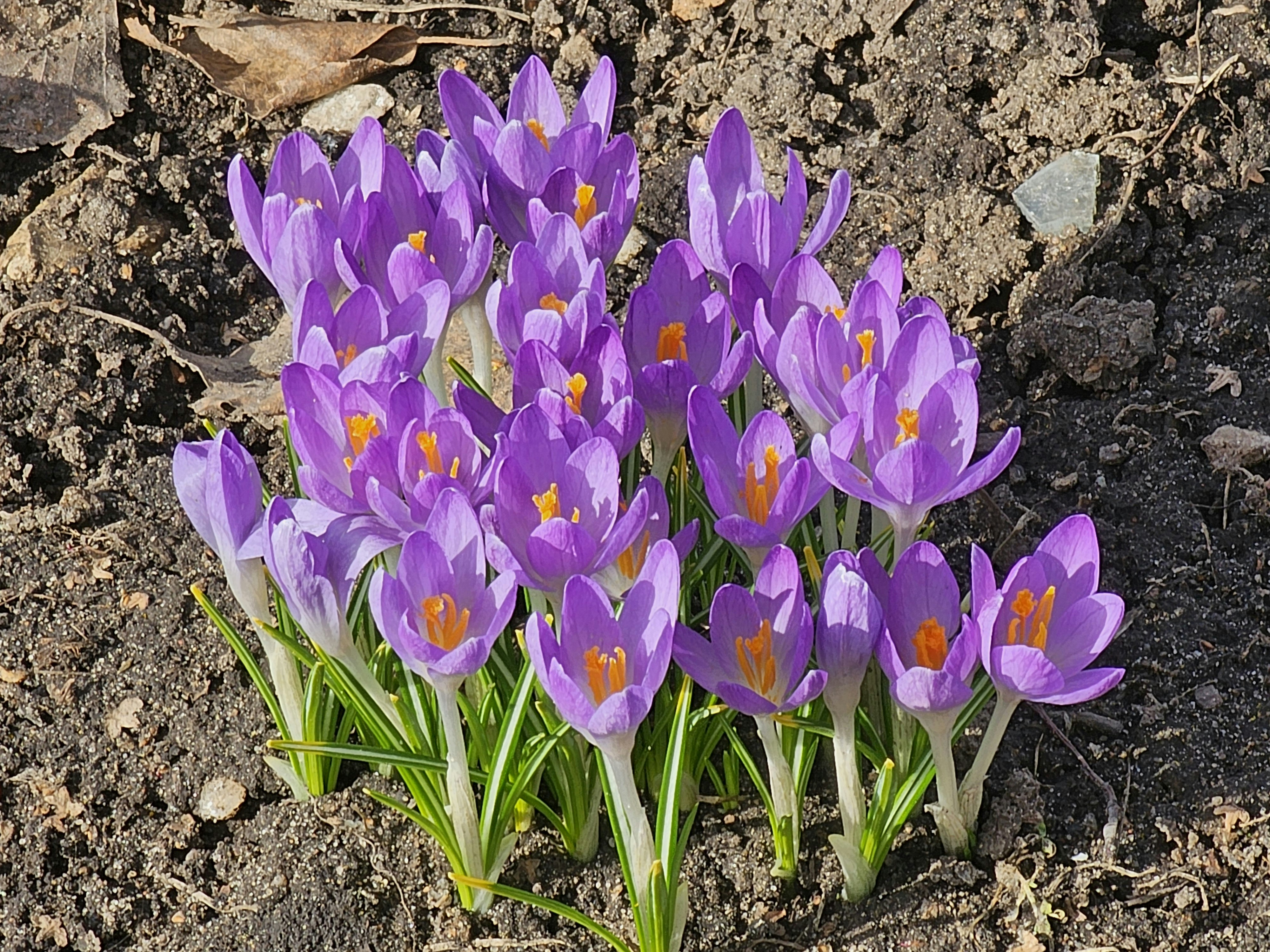 Natasha Star (@na2009ta) | Unsplash Photo Community