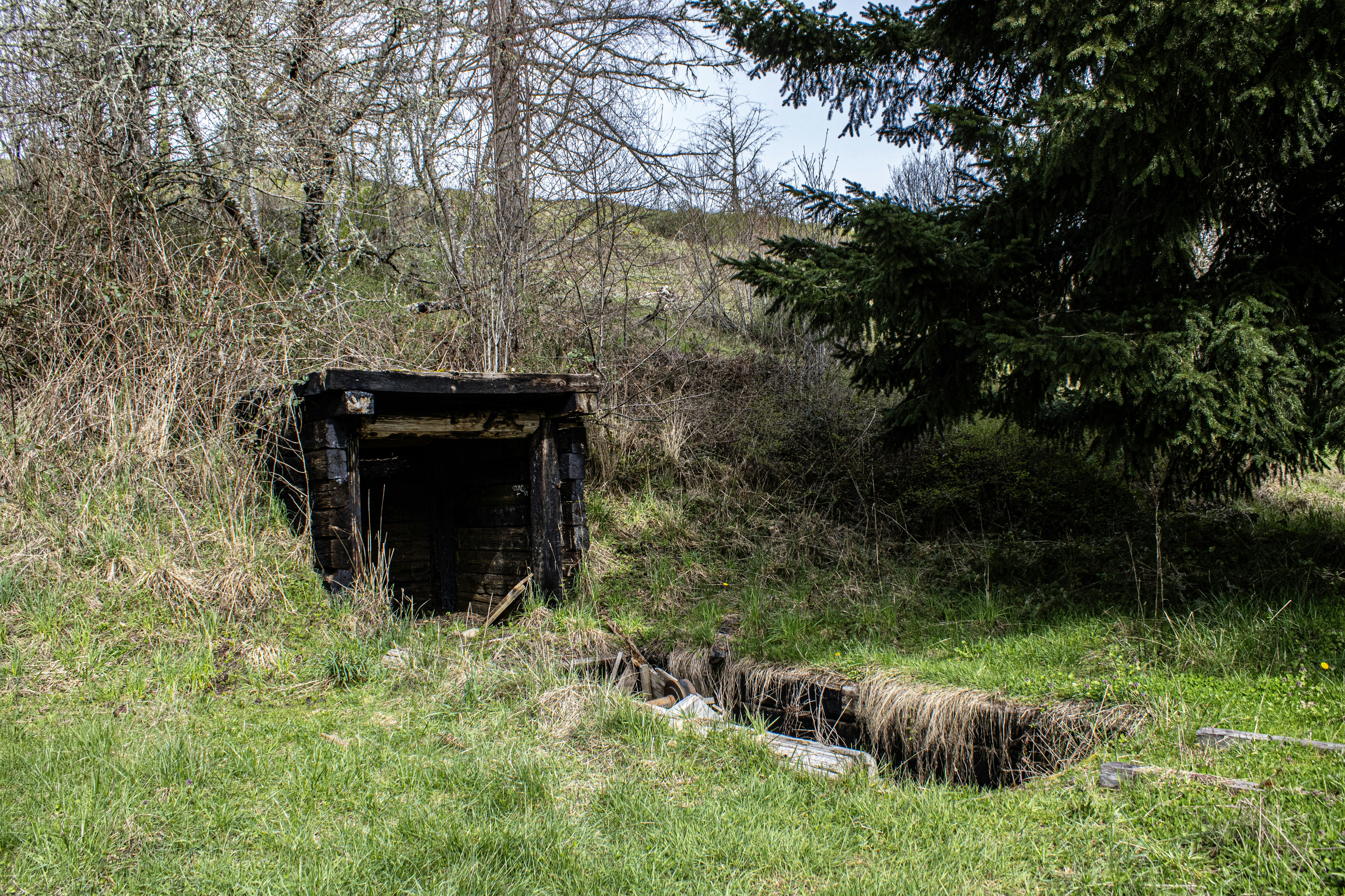 Grass-Guarded Culvert Along a Quiet Meadow