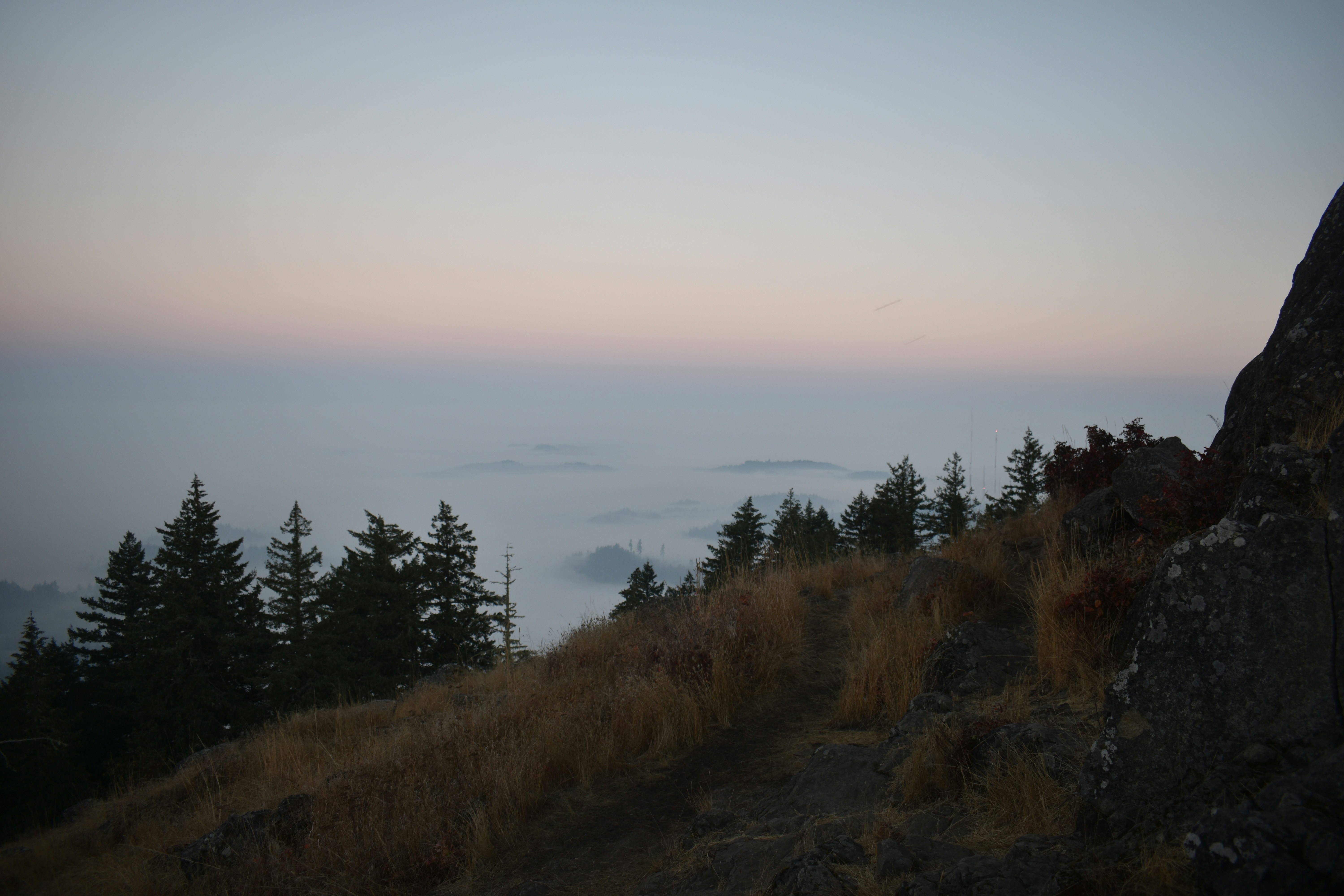 Whispering Pines at Dawn's Veil
