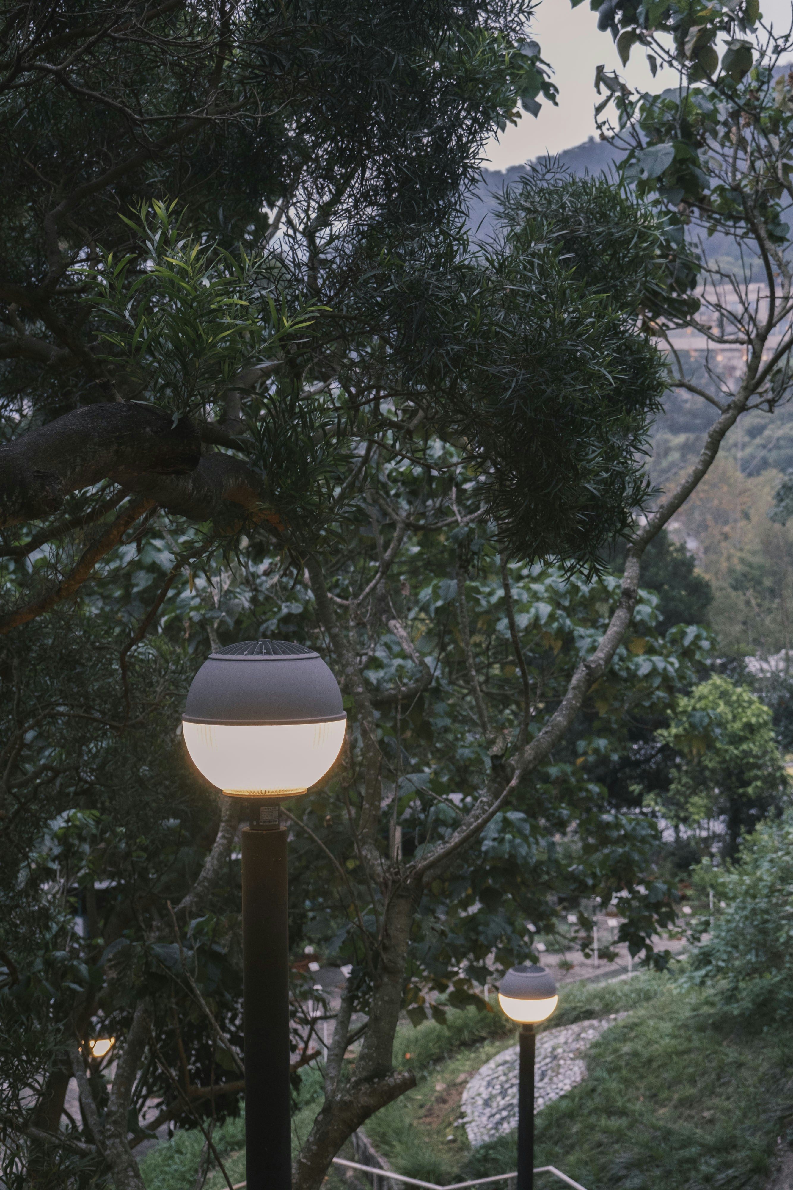 Terraced Garden Lanterns: A Quiet Twilight Path Framed by Trees