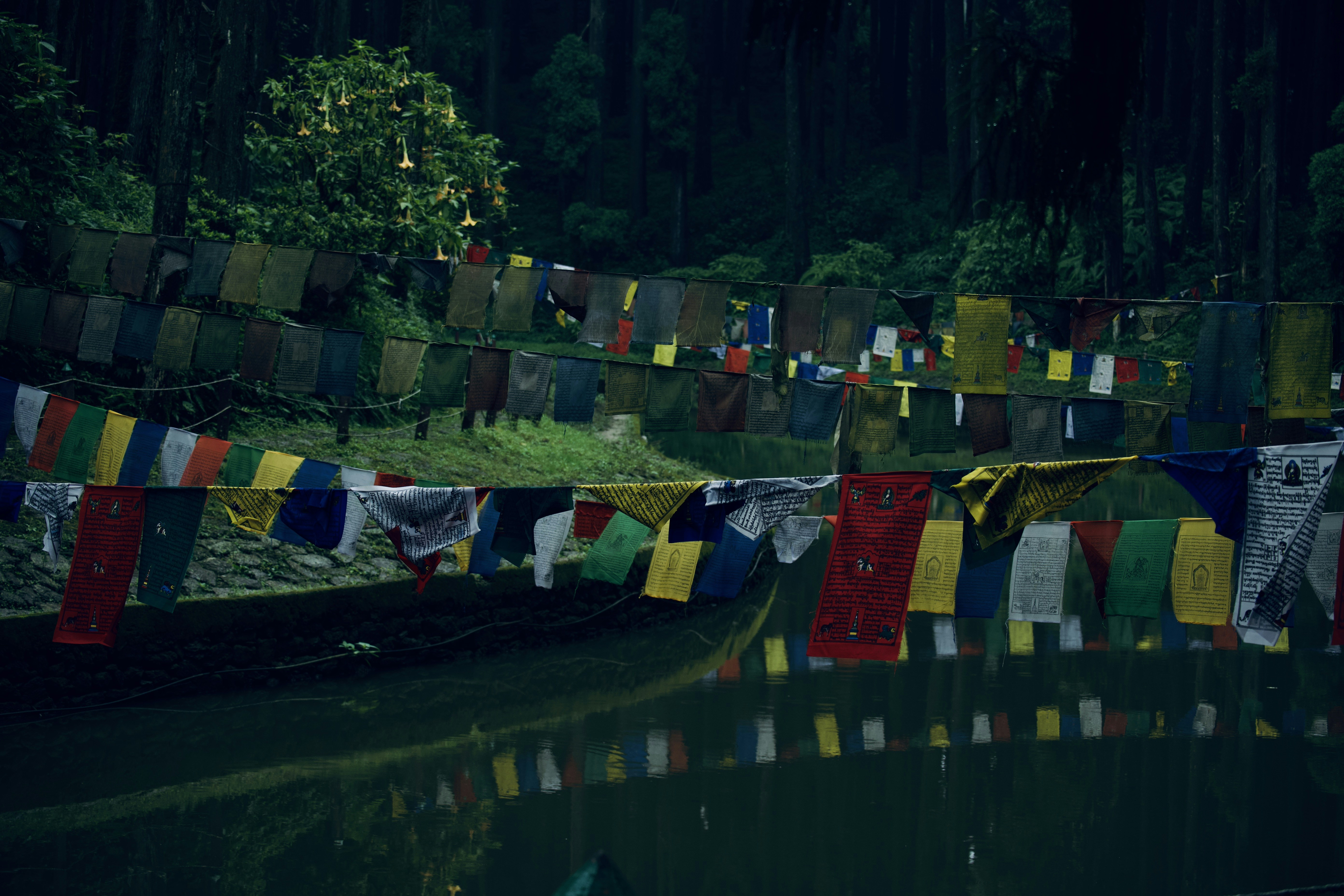 Tapestry of Color Over a Quiet Forest Pool