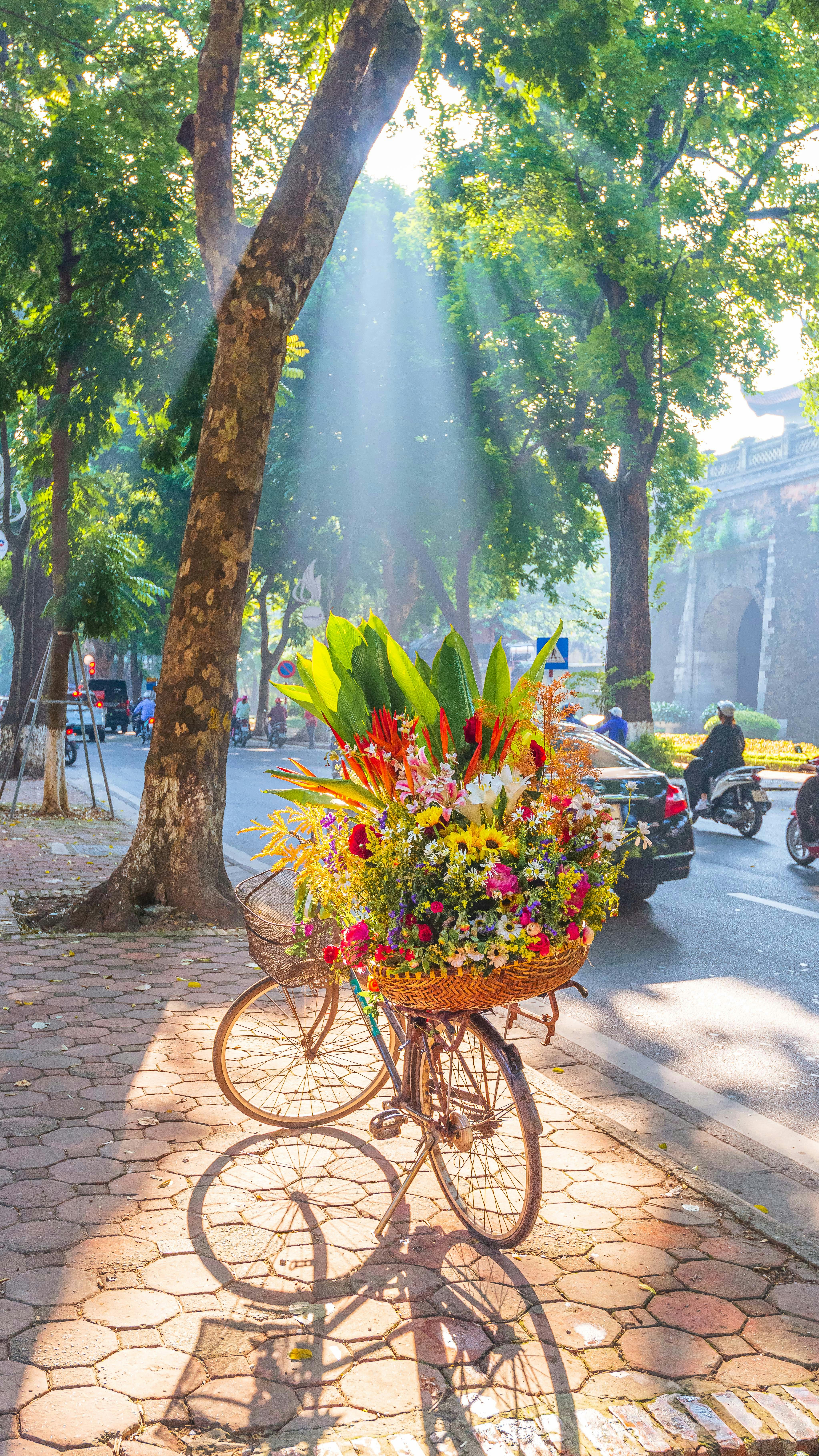Sunlit Bicycle Bloom: A Street Corner bouquets in a fluttering city glow