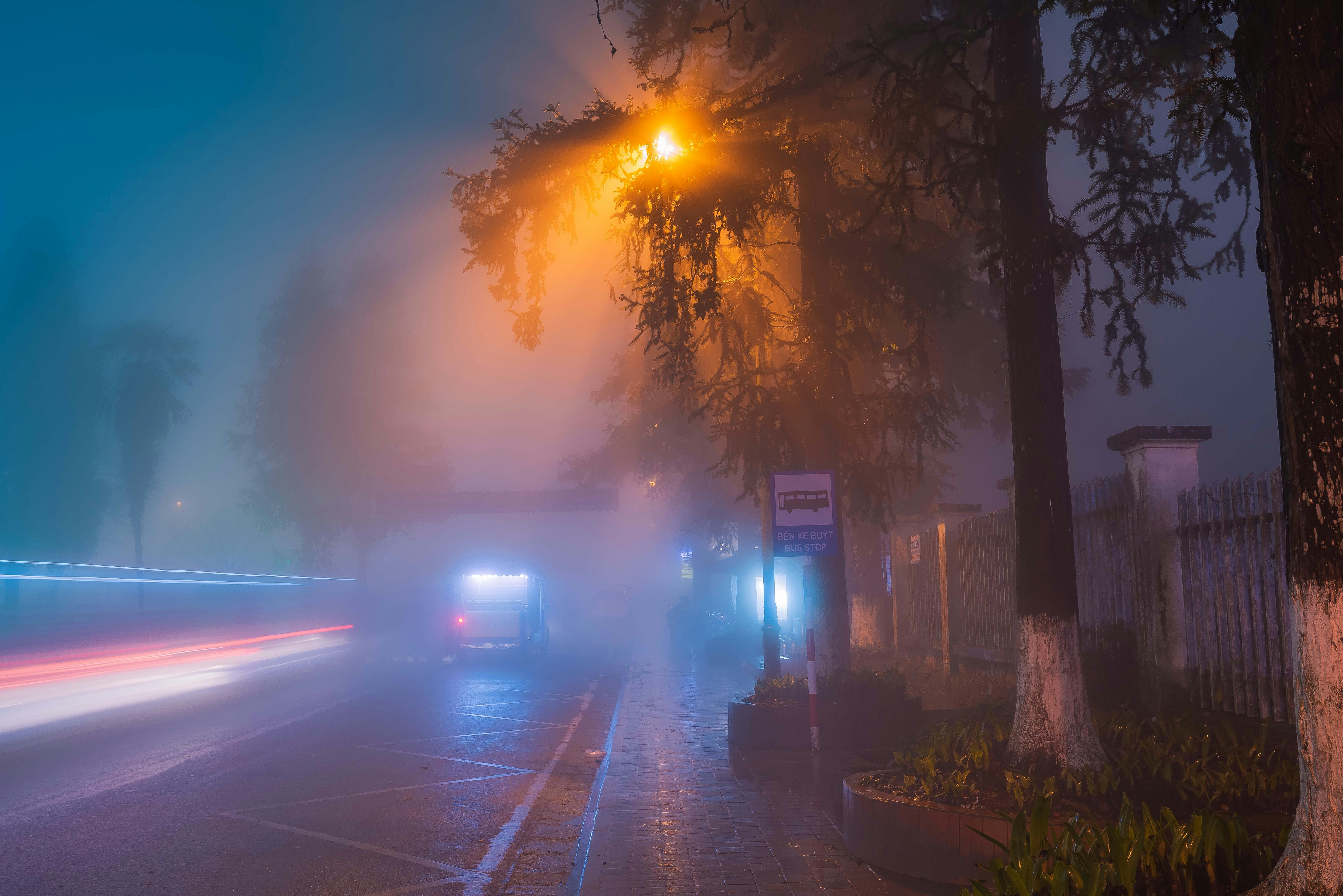 Neon Boulevard in Fog: The Street Lit by Veiled Lights