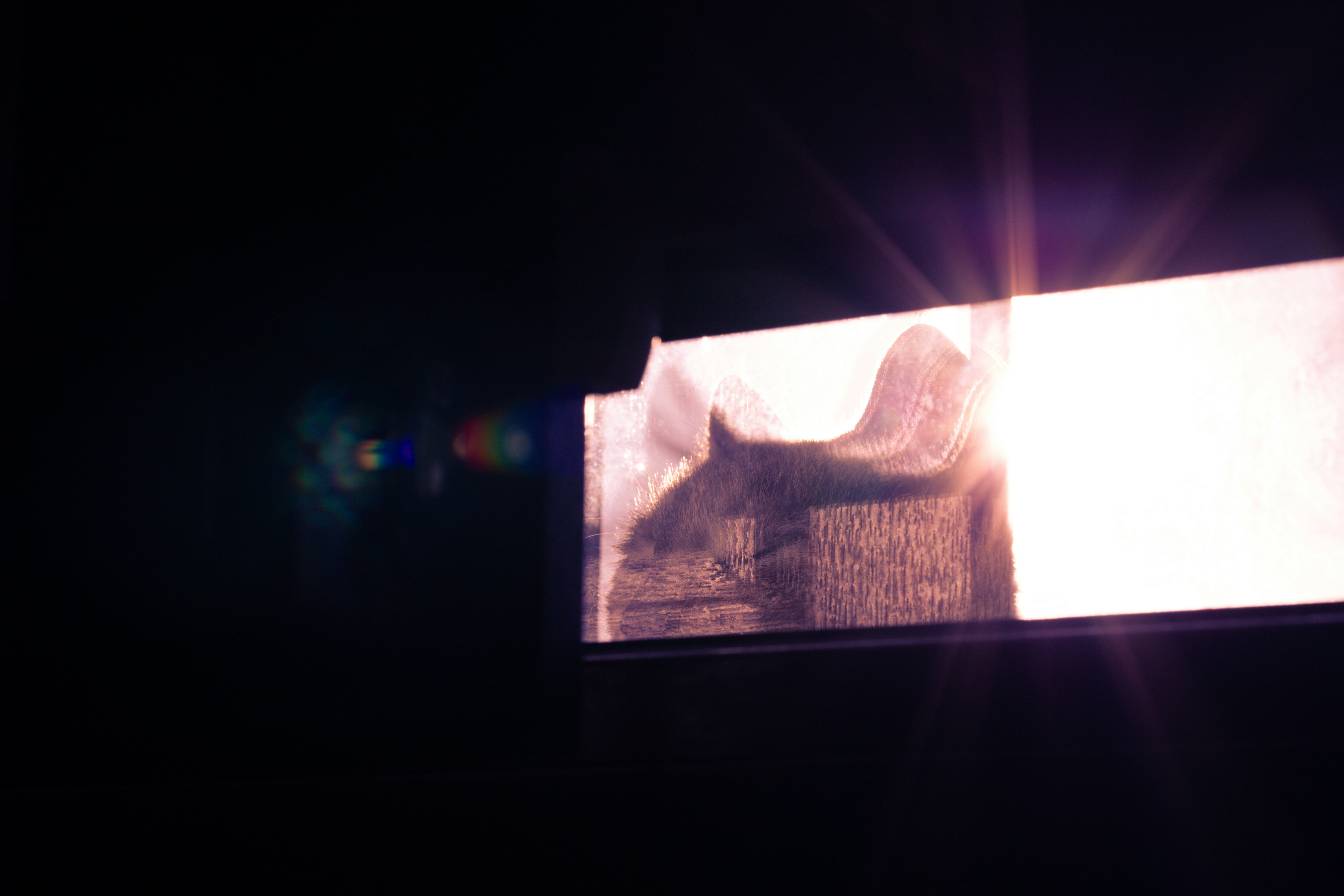 A picture of a person's feet through a window photo – Free Grey Image ...