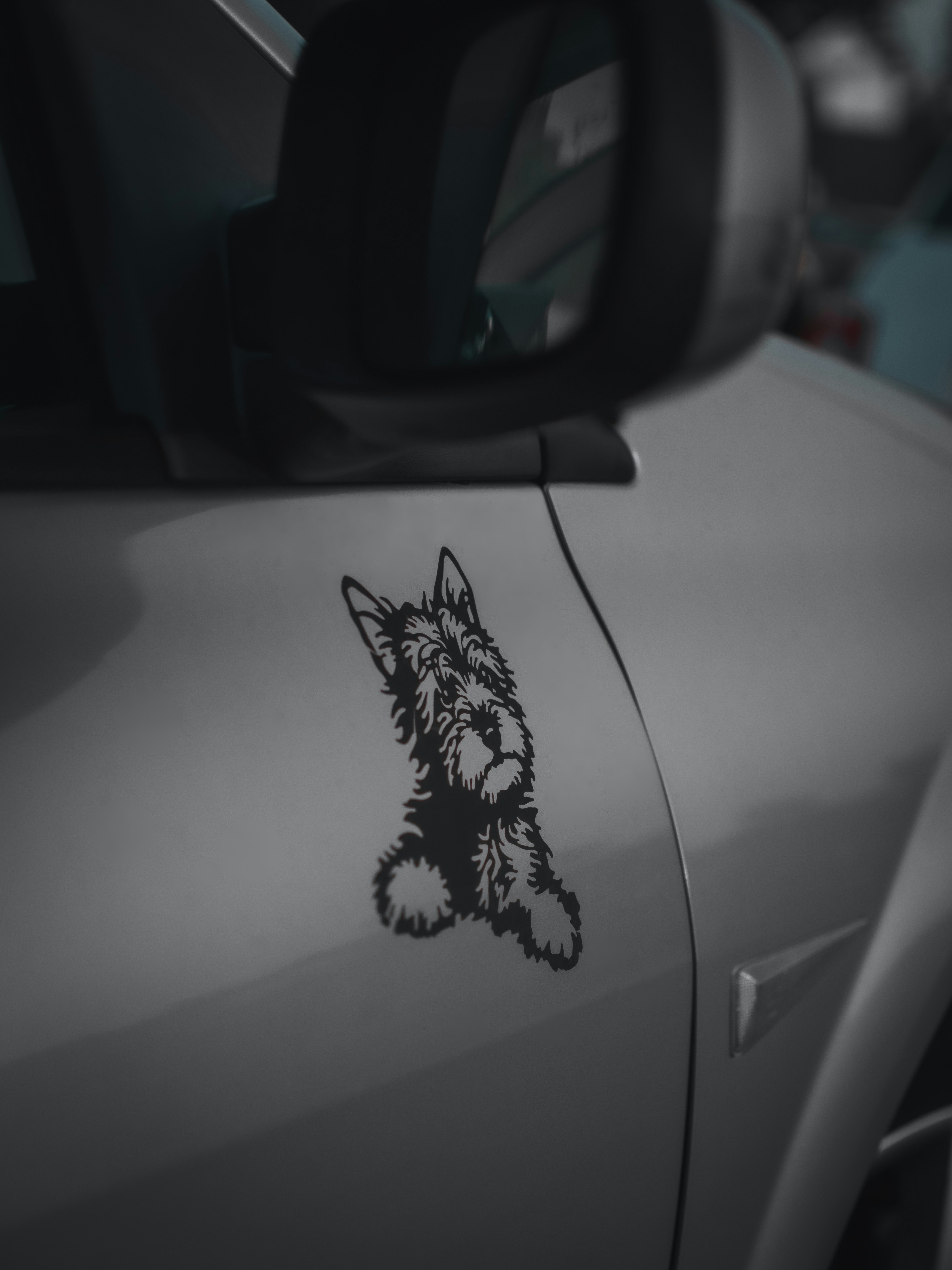 Photo by Chani Ranai with Nikon D5600