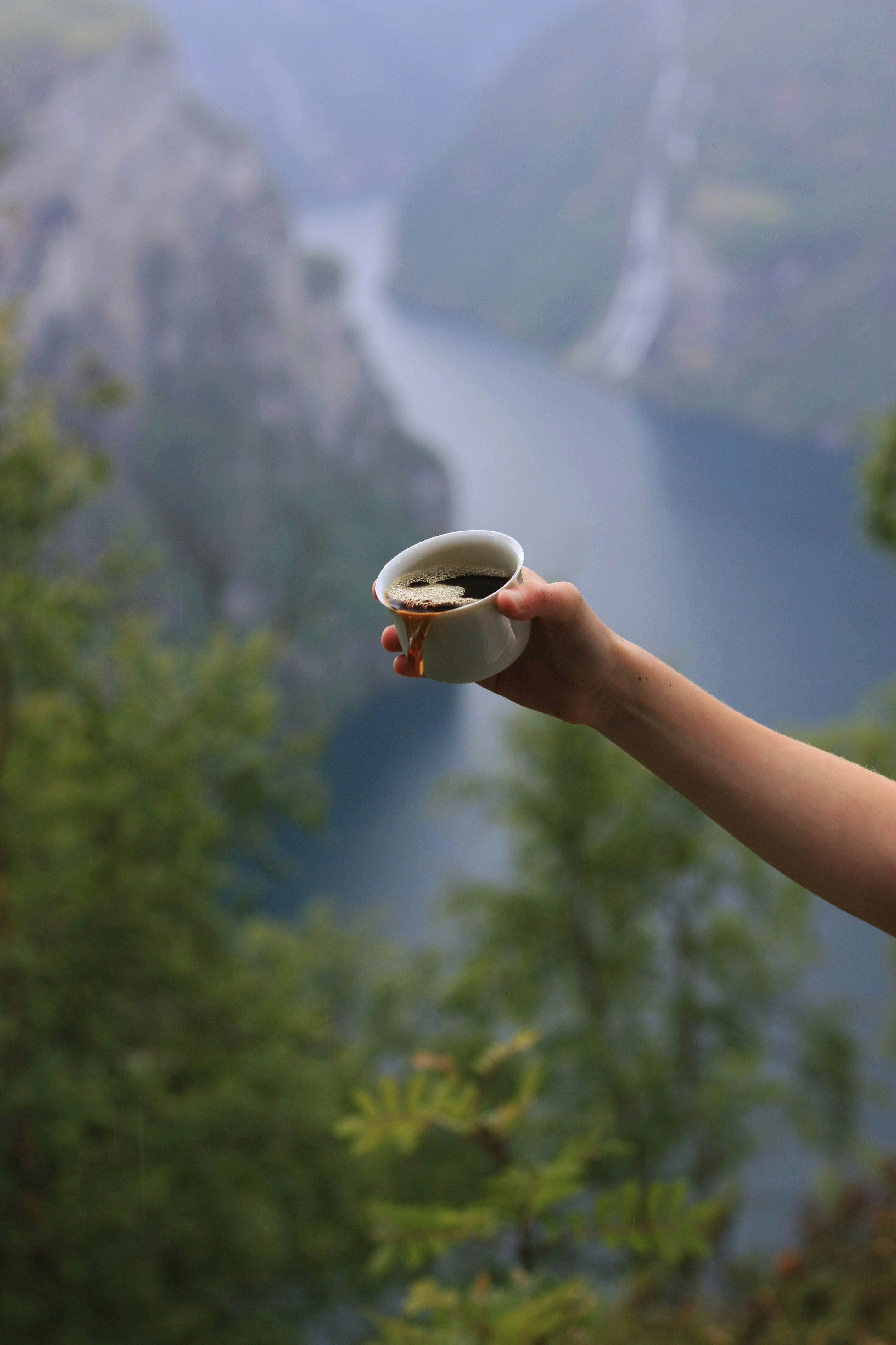 Edge-of-Gorge Coffee: A Hand Extending Over a Misty Fjord