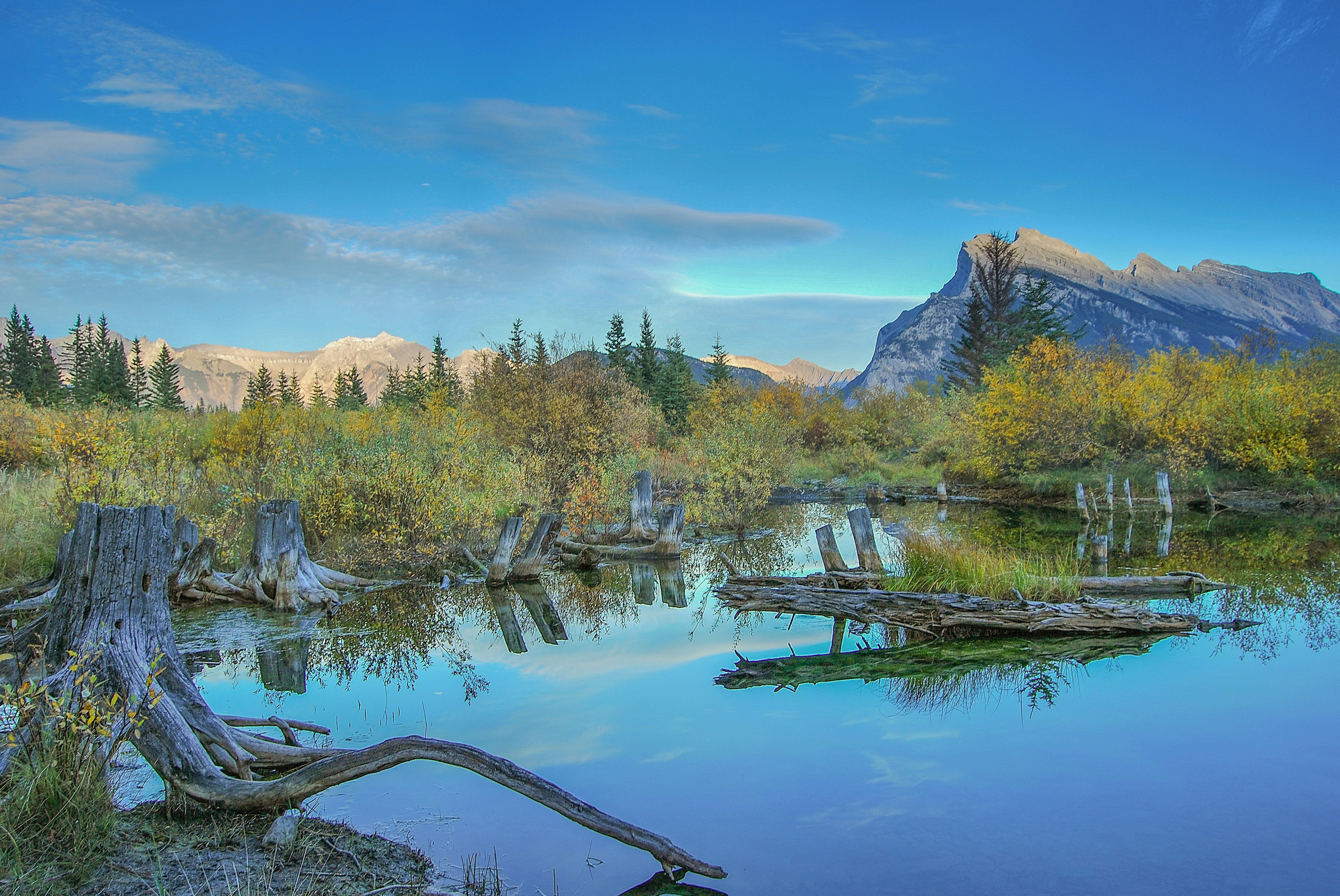 Serene Reflections at Vermilion Lakes