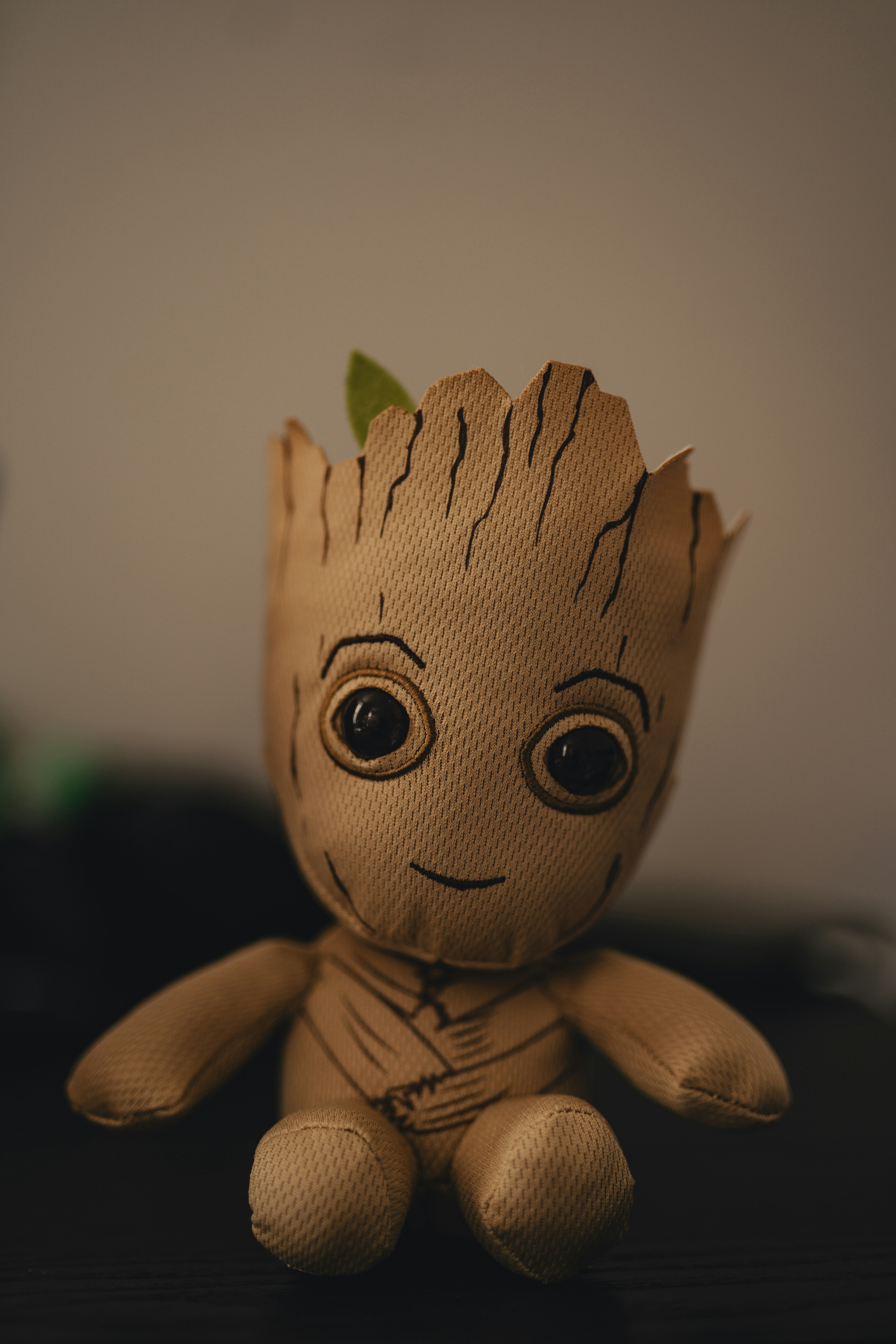 Groot Pictures | Download Free Images on Unsplash