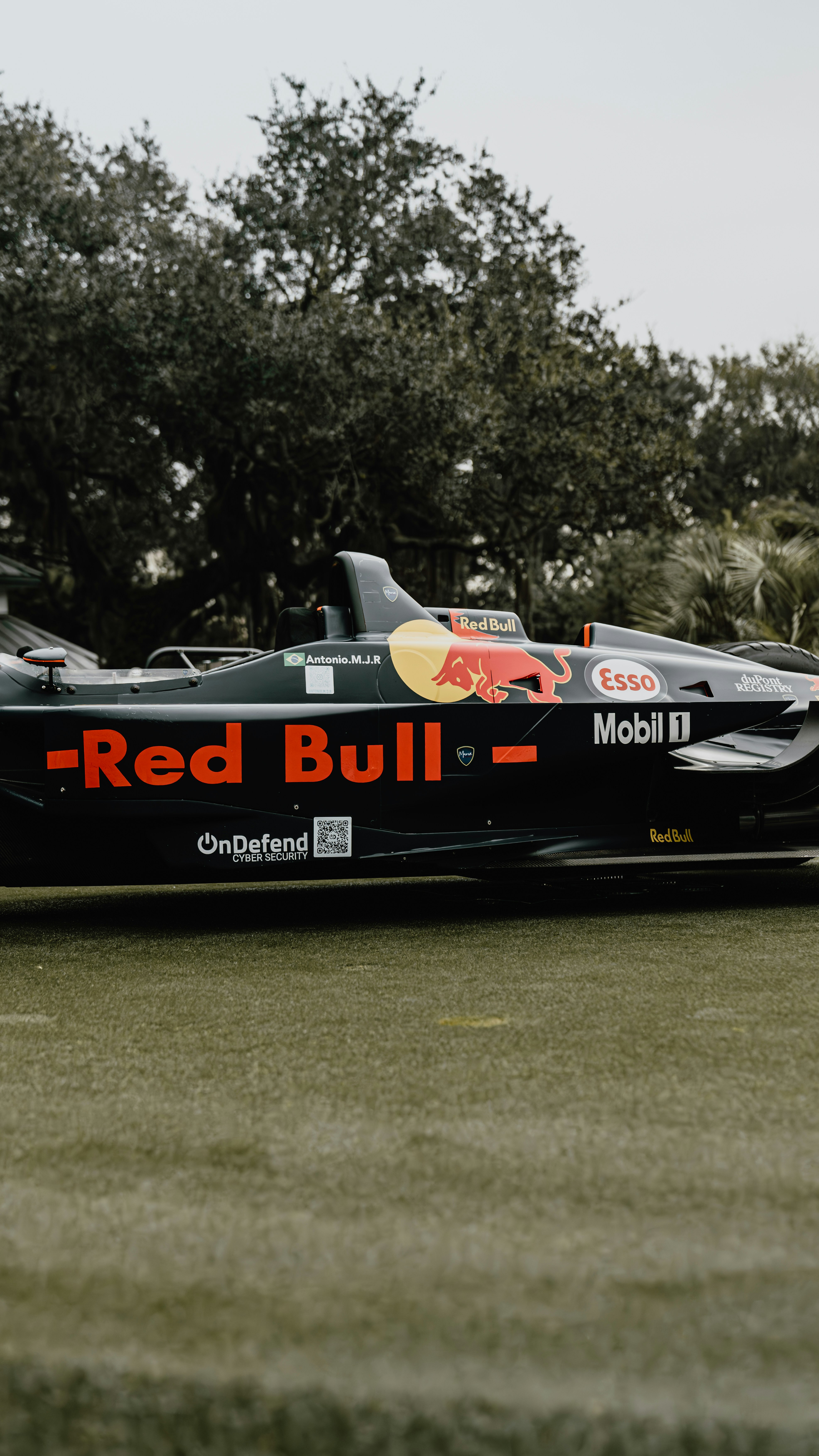 Red Bull Racer on Grassy Field