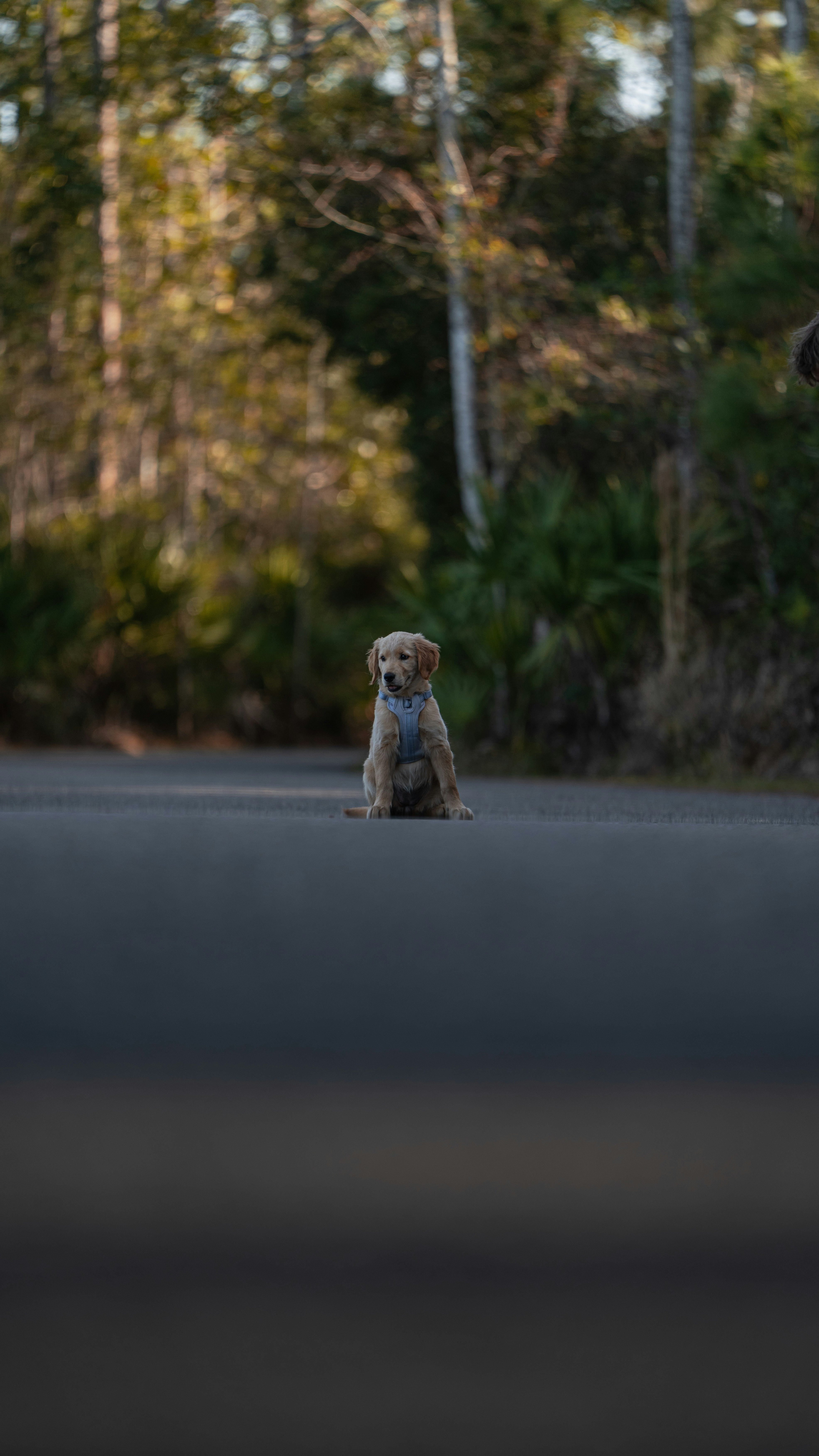 Photo by Tyler with Sony Alpha 7 IV