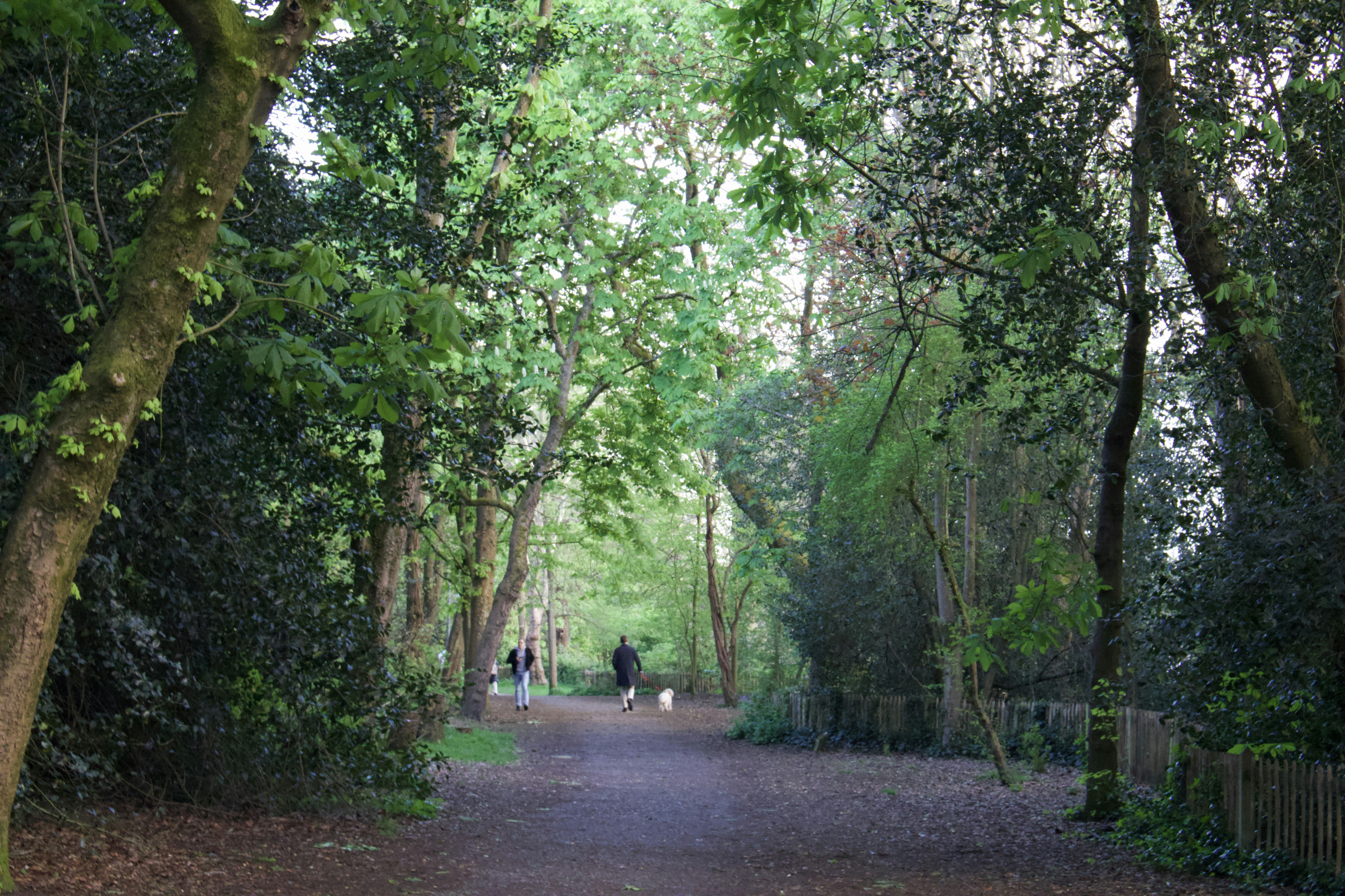 Photo by Ethan with Canon EOS R100