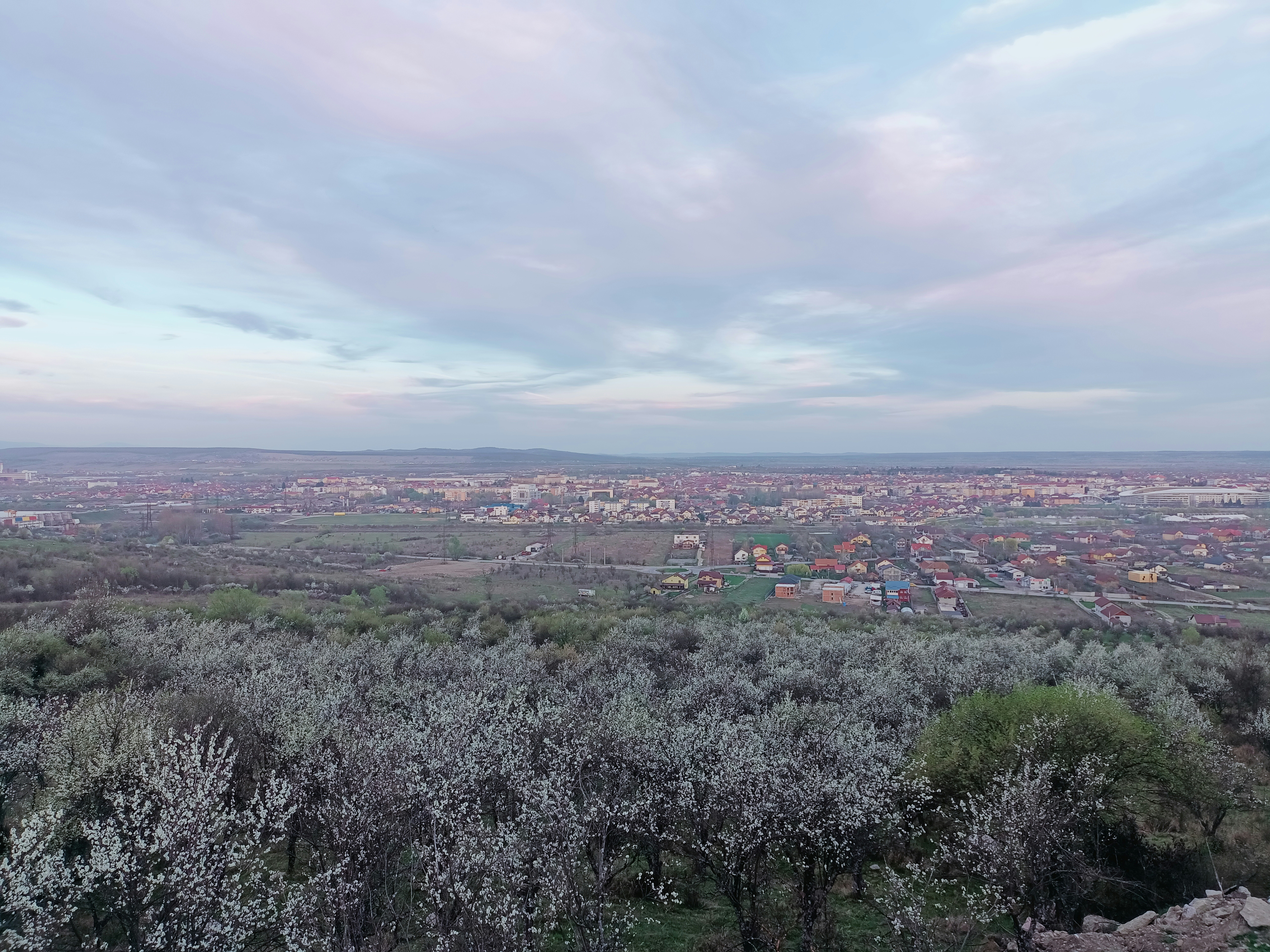 Sample photo from Oppo Reno5 Lite