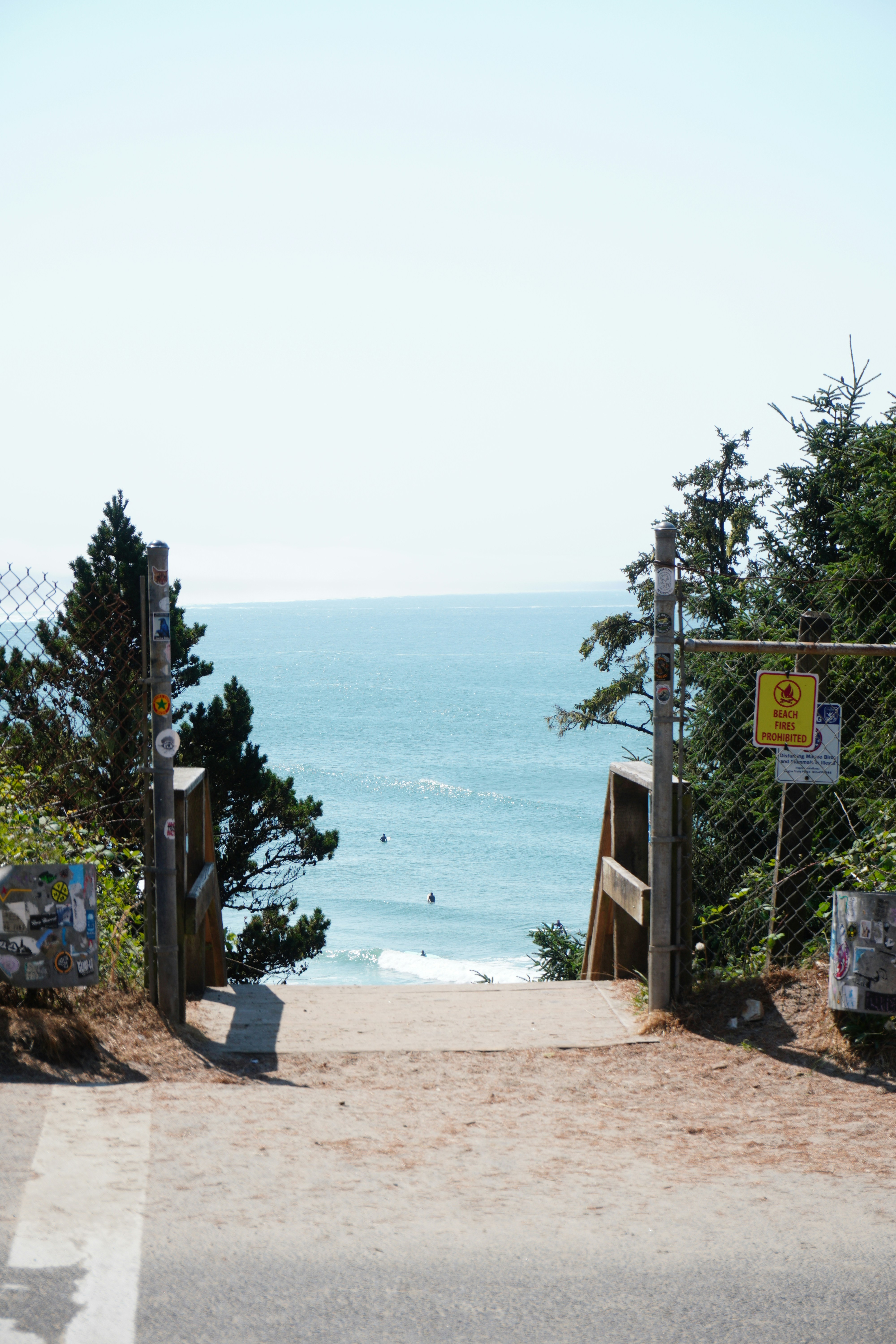 Gate to the Blue Rim: Oceanview Through the Coastal Path