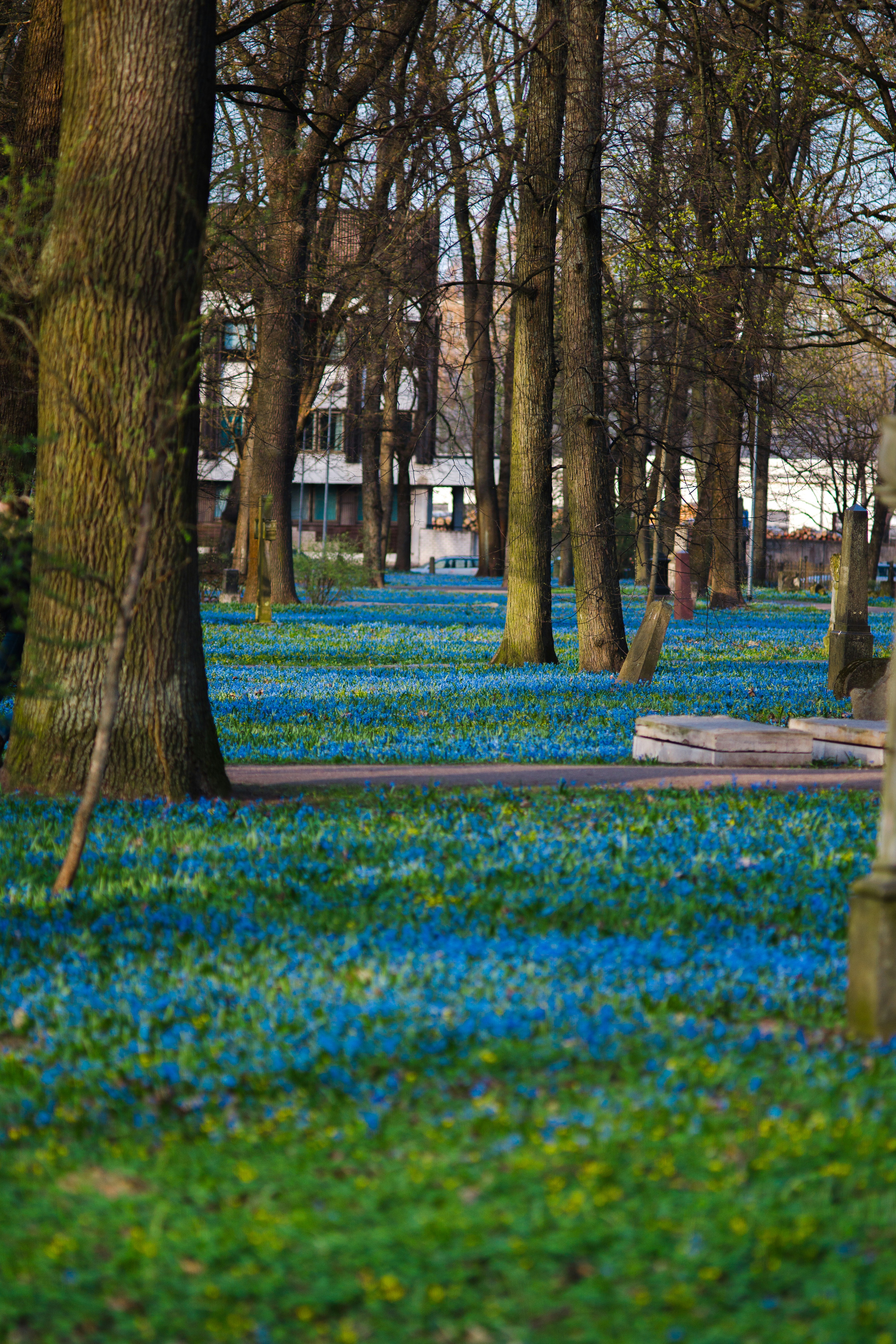 Photo by Artūrs Ķipsts with Sony Alpha 7 III