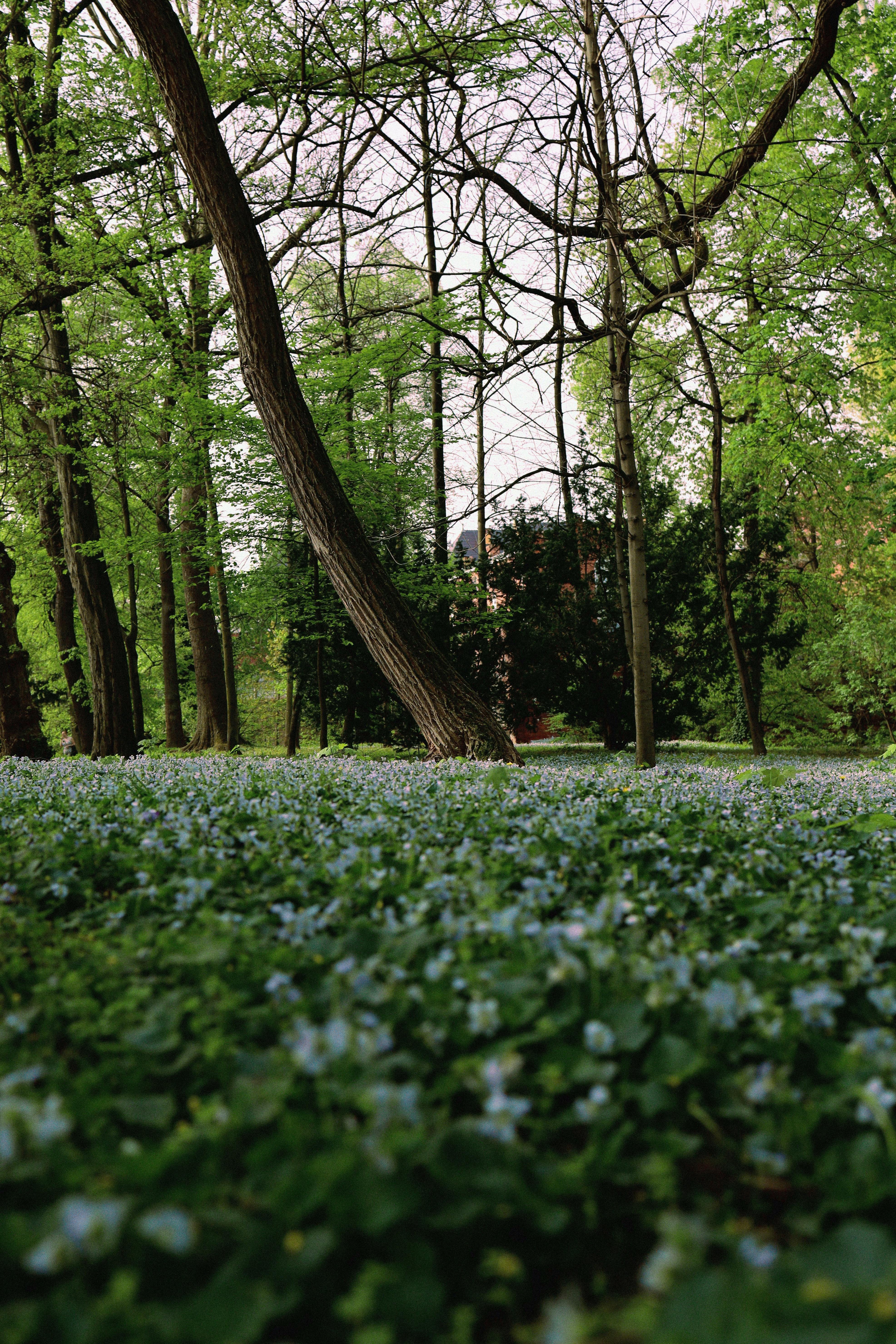 Photo by Ira Mazurkiewicz with Canon EOS RP