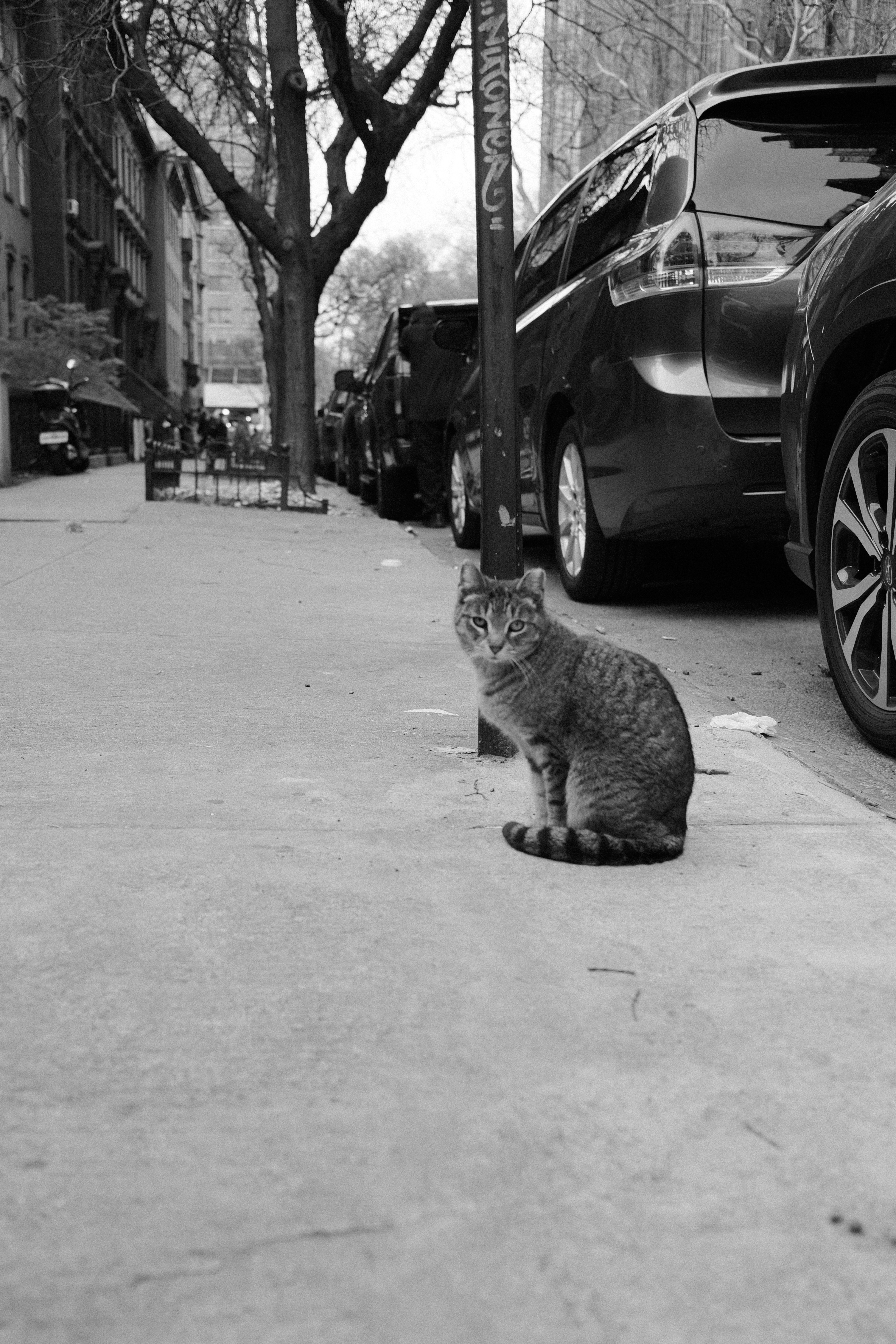 Photo by Danny Greenberg with Fujifilm X100V