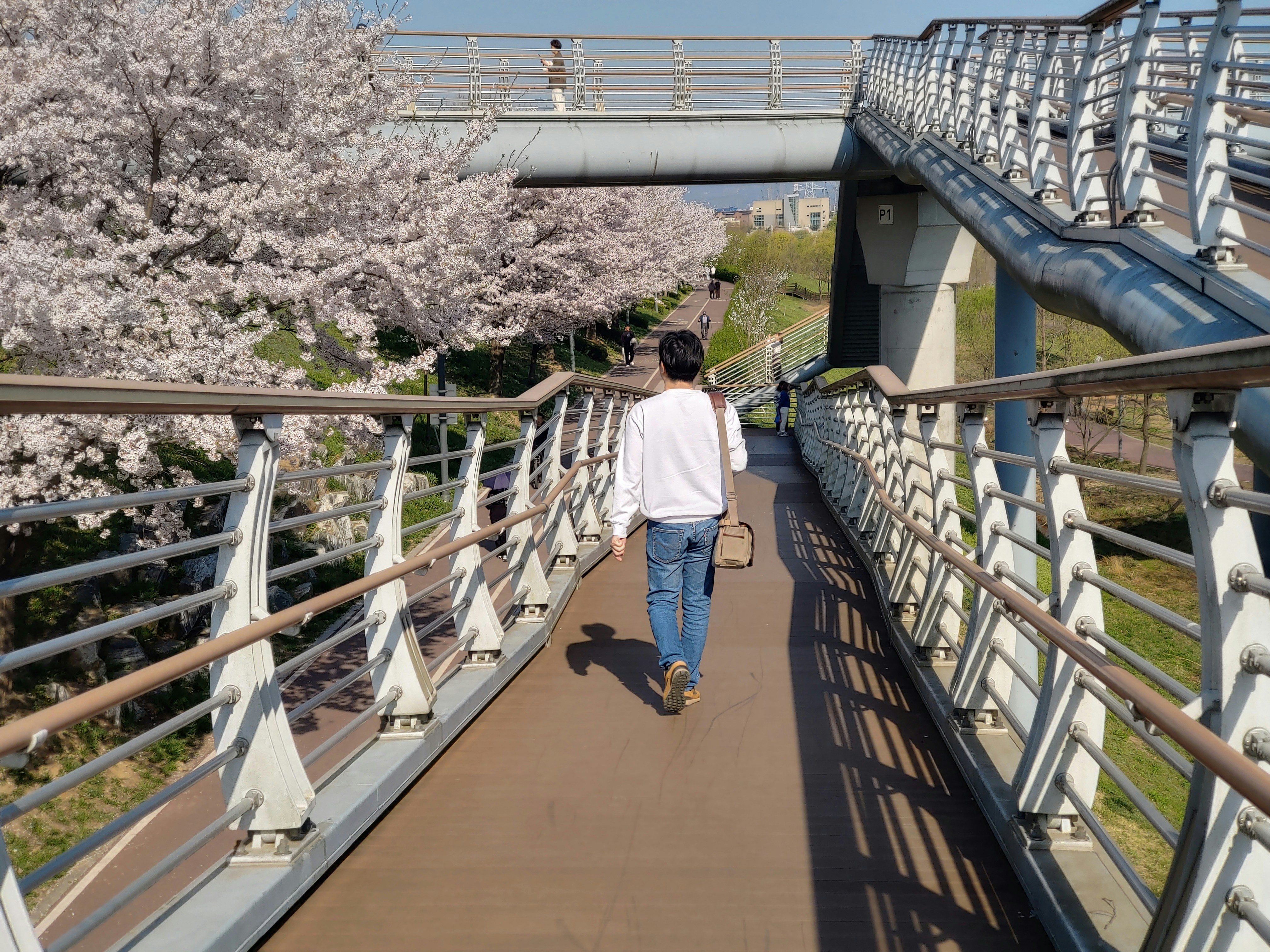 Man walking away along a metal pedestrian bridge lined with blooming cherry trees on the left. The scene is framed by rails and overhead structures guiding the eye toward the distance.