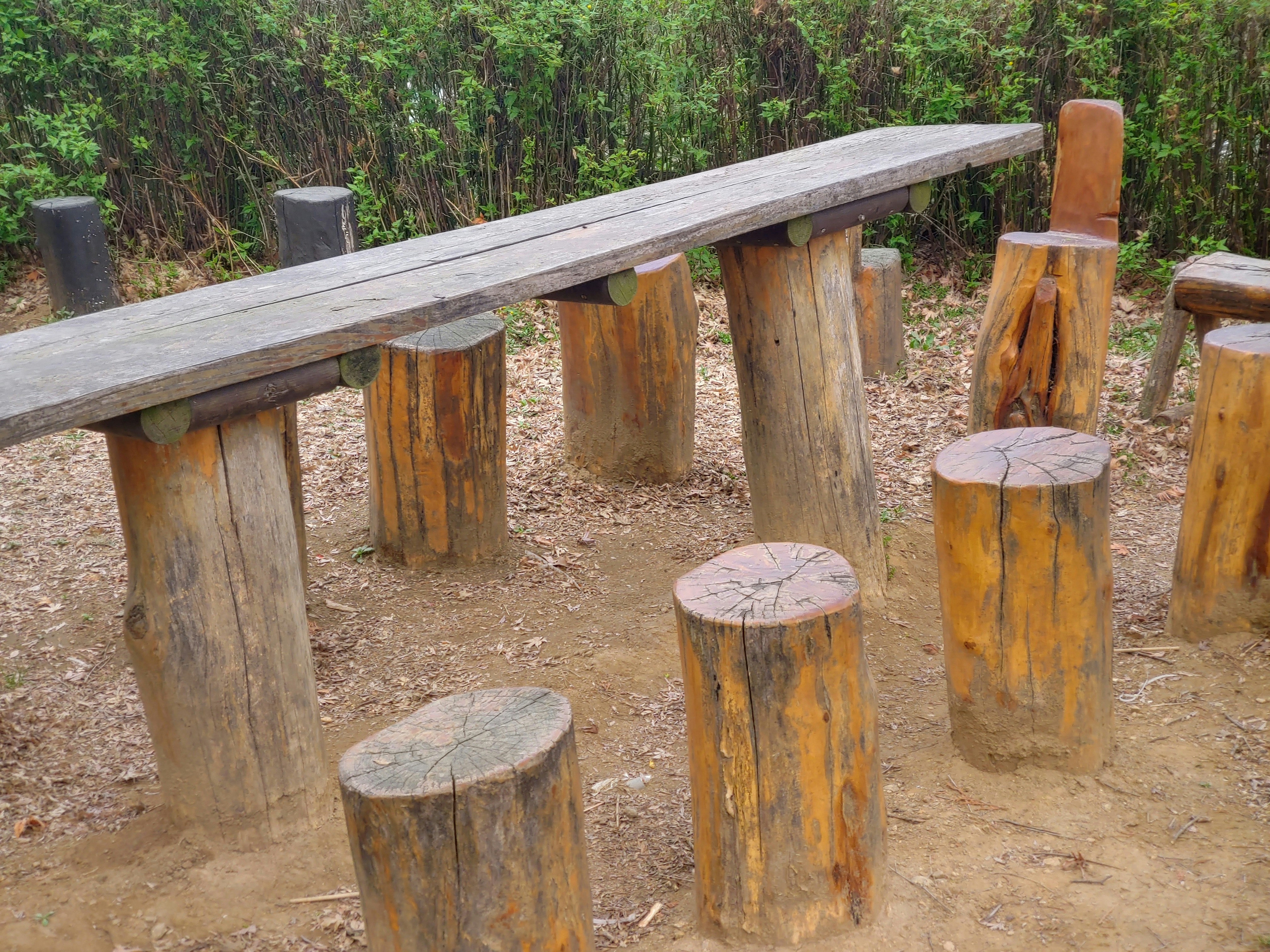 Dirt-clearing scene featuring a weathered wooden bench supported by a circle of tree stumps, with dense green shrubs in the background.