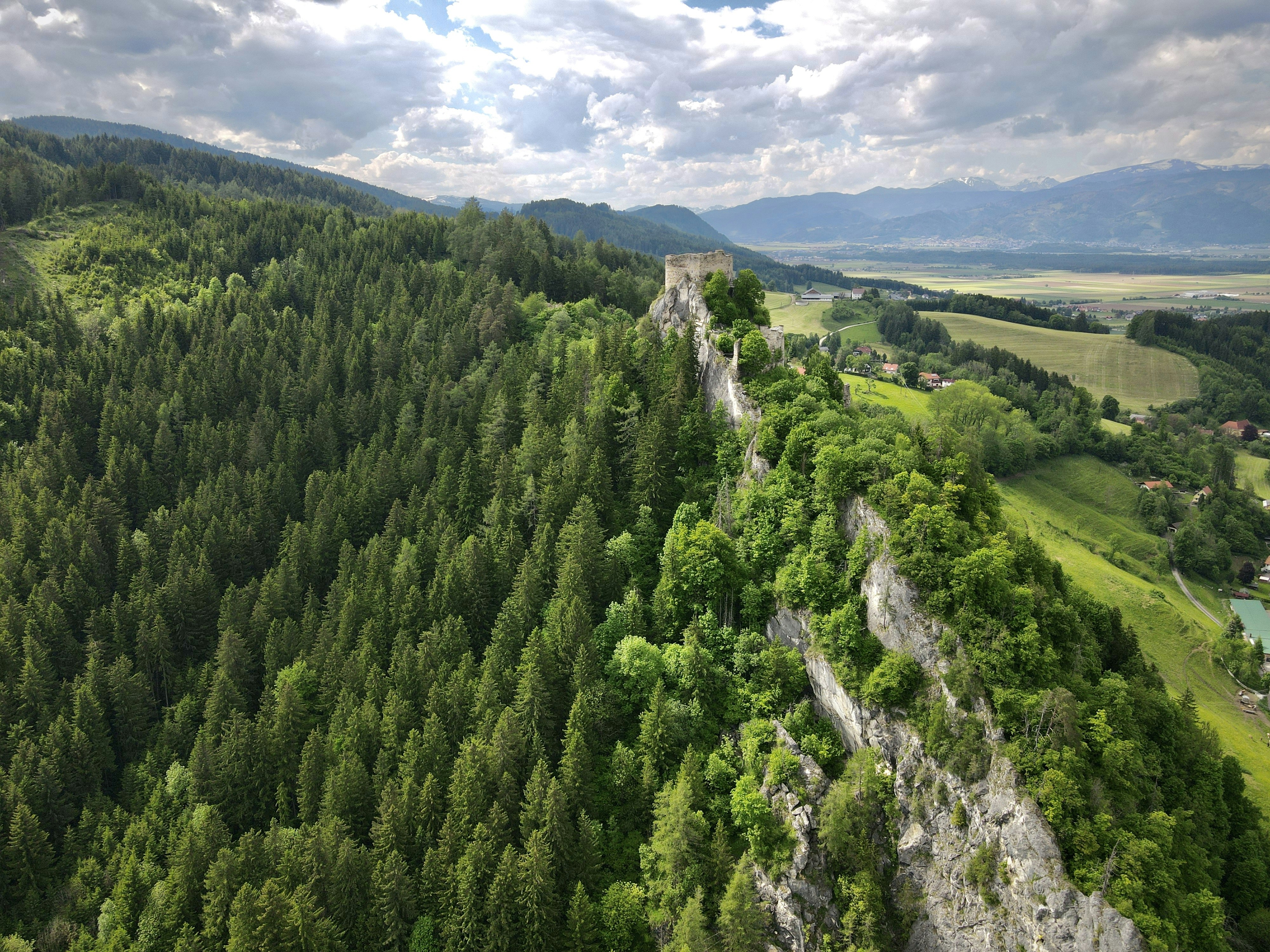 An aerial view of a forest and a mountain photo – Free Austria Image on ...
