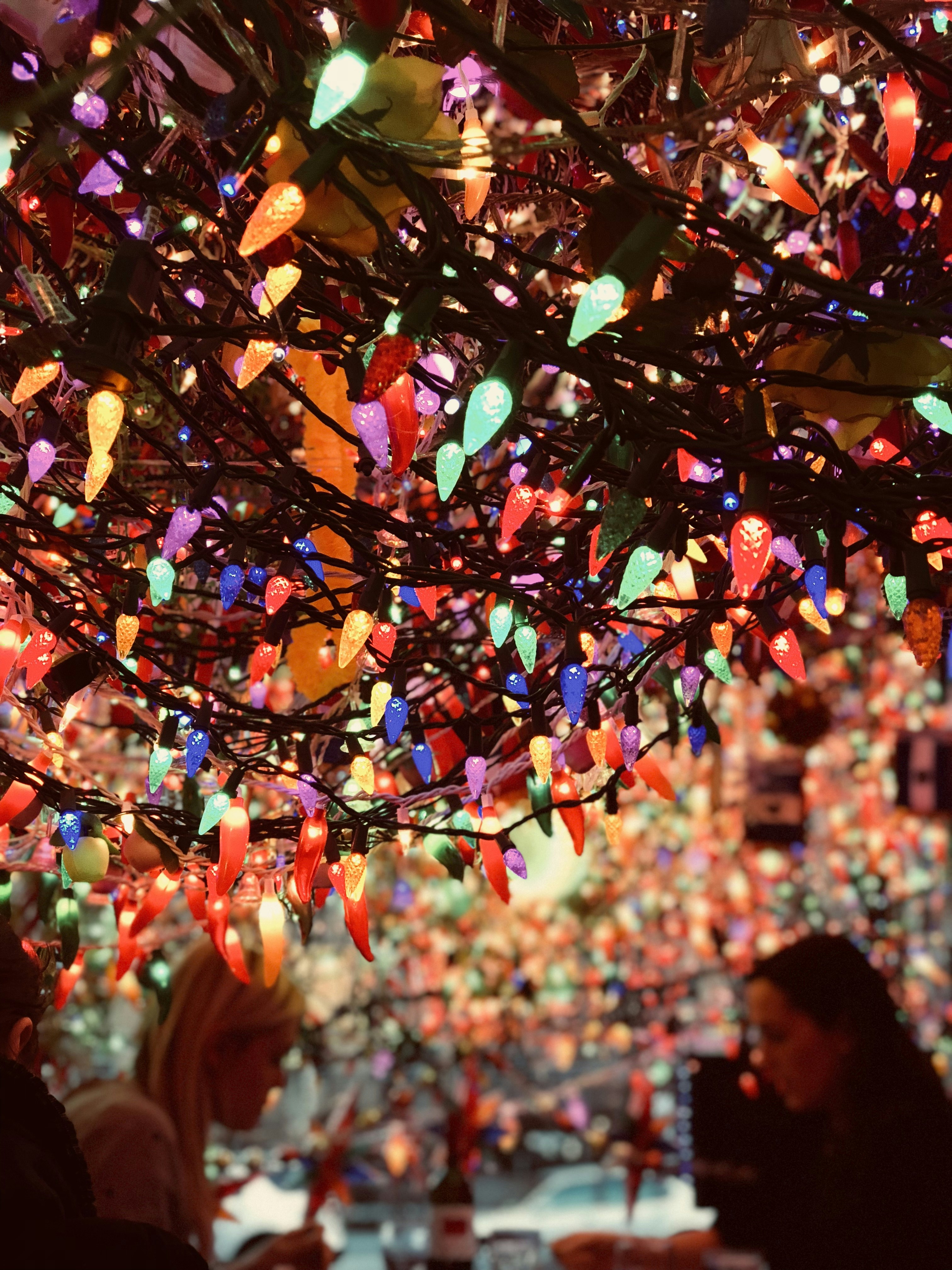 Vibrant multicolored string lights hanging above create a festive atmosphere as two people sit in conversation.