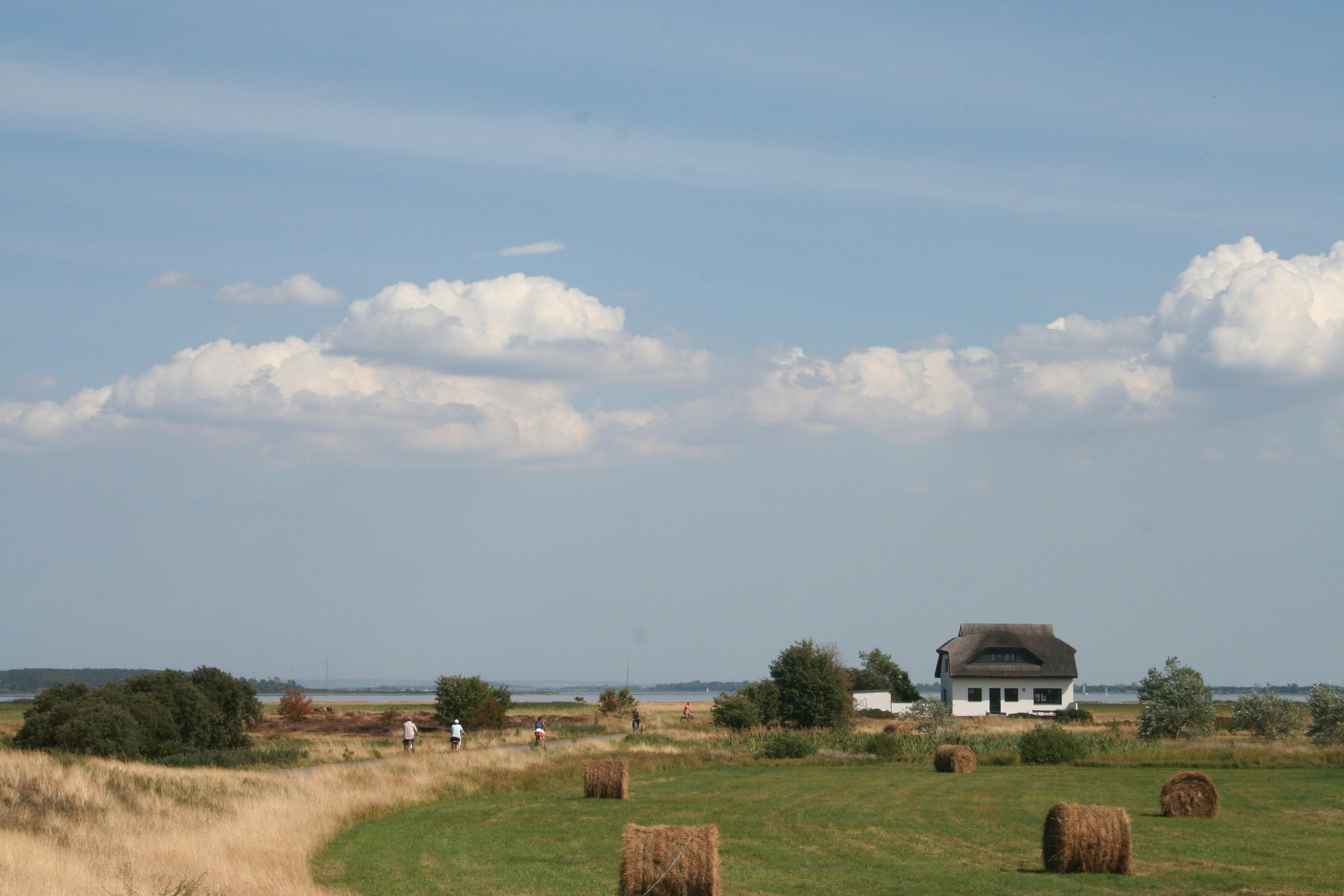 Horizon Farmstead: Hay Bales in a Sunlit Pasture Frame a Distant House
