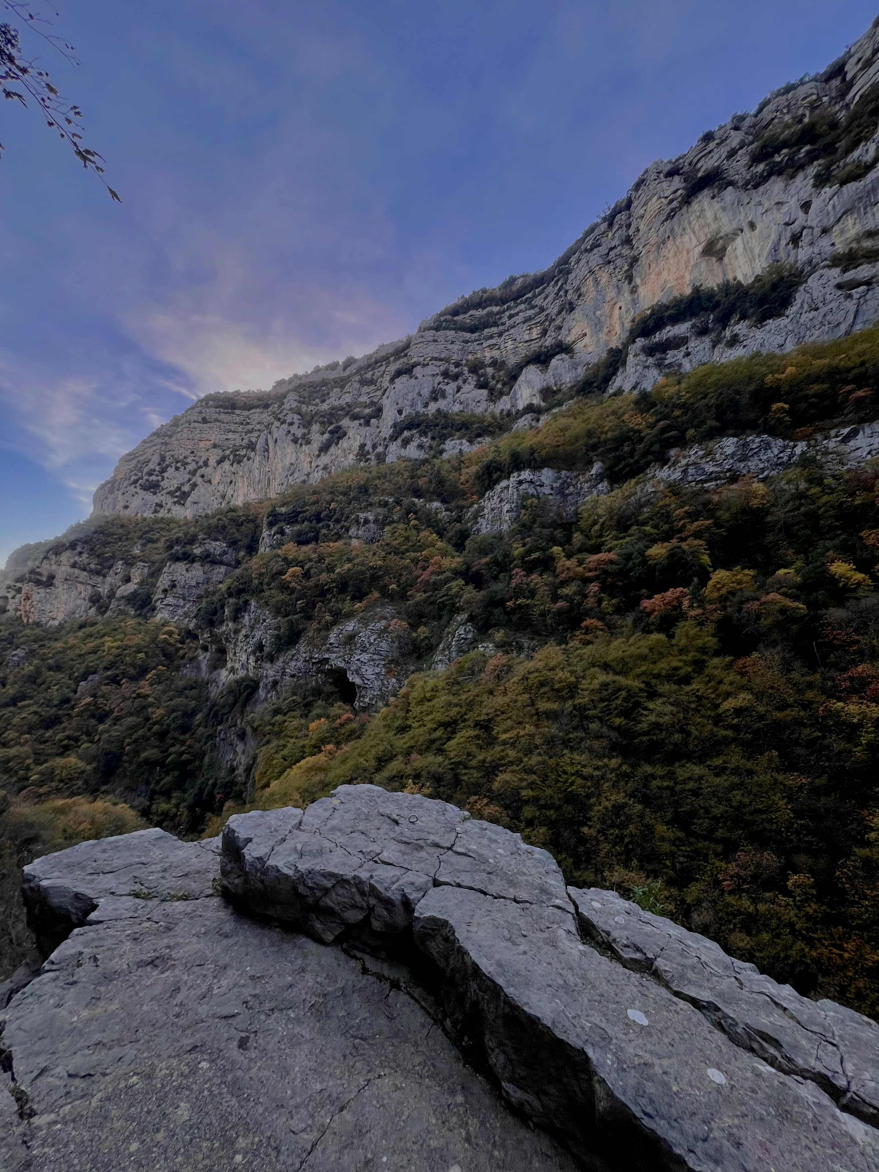 Rugged limestone cliffs Above a Leaf-Kissed Forest