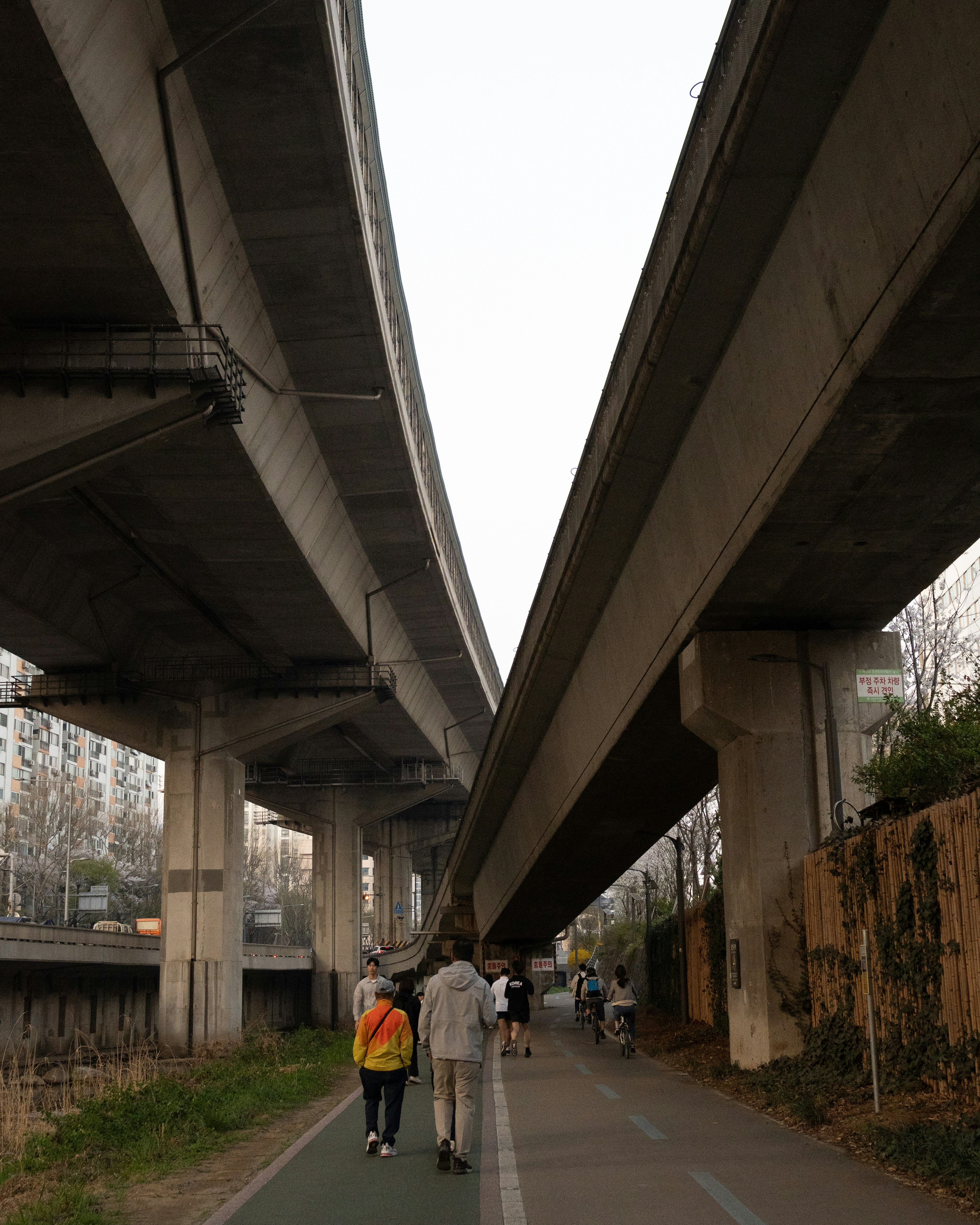 Between Giants: A Pedestrian Path Beneath Twin Freeways
