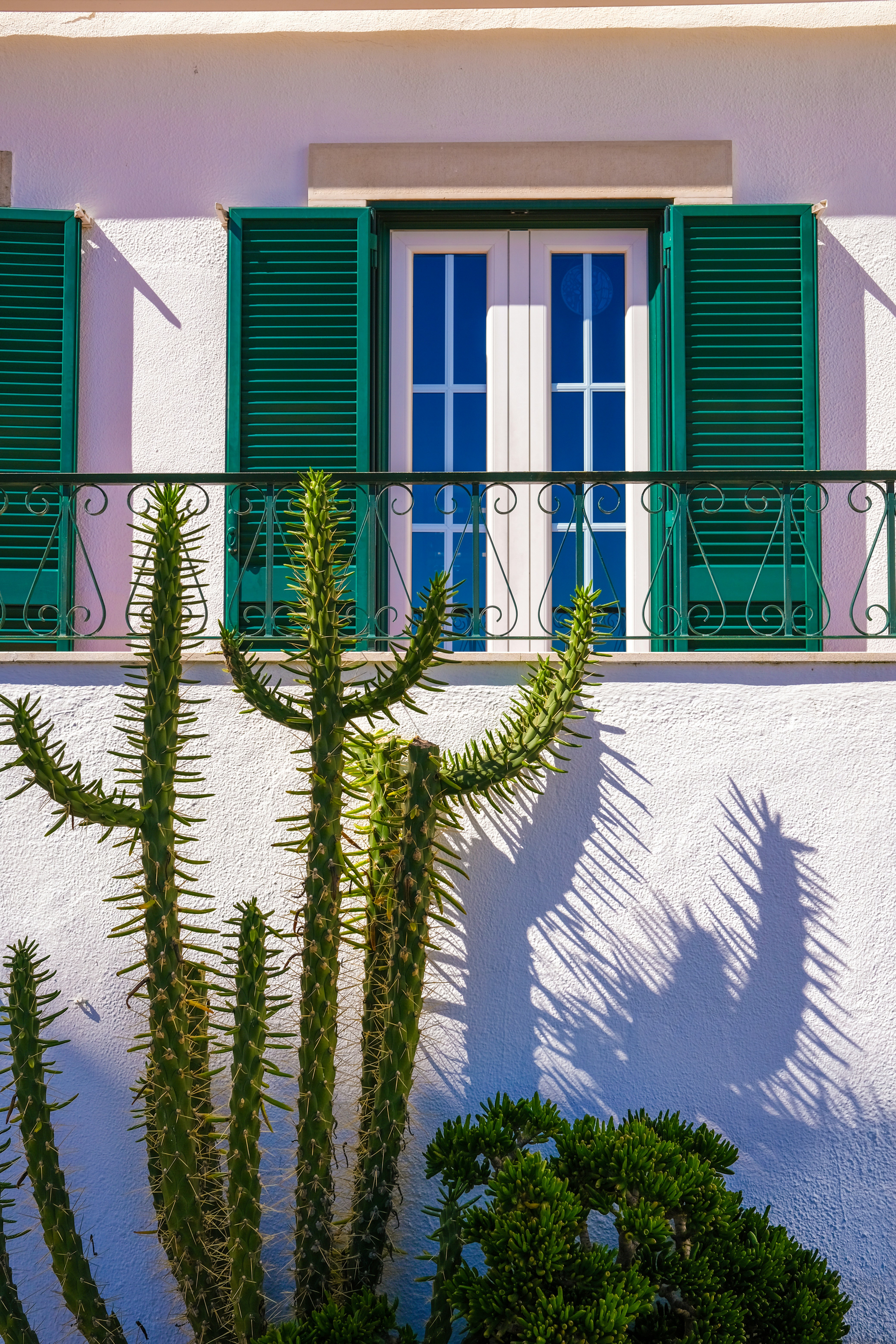 Emerald Shutters on a Pink Facade: Cactus Shadows and Coastal Light
