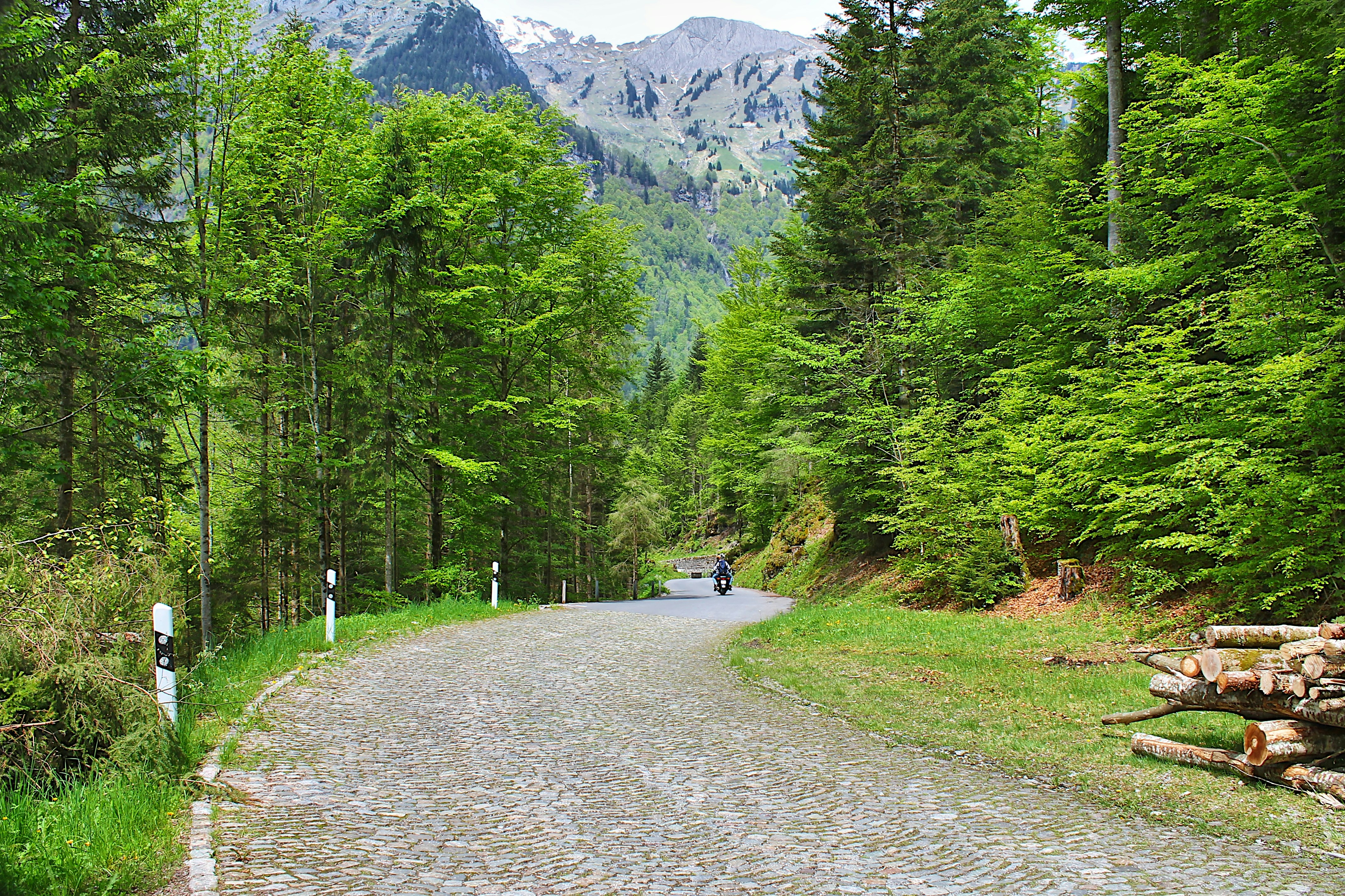 Winding gravel road through lush forest with distant mountain peaks under a clear sky.