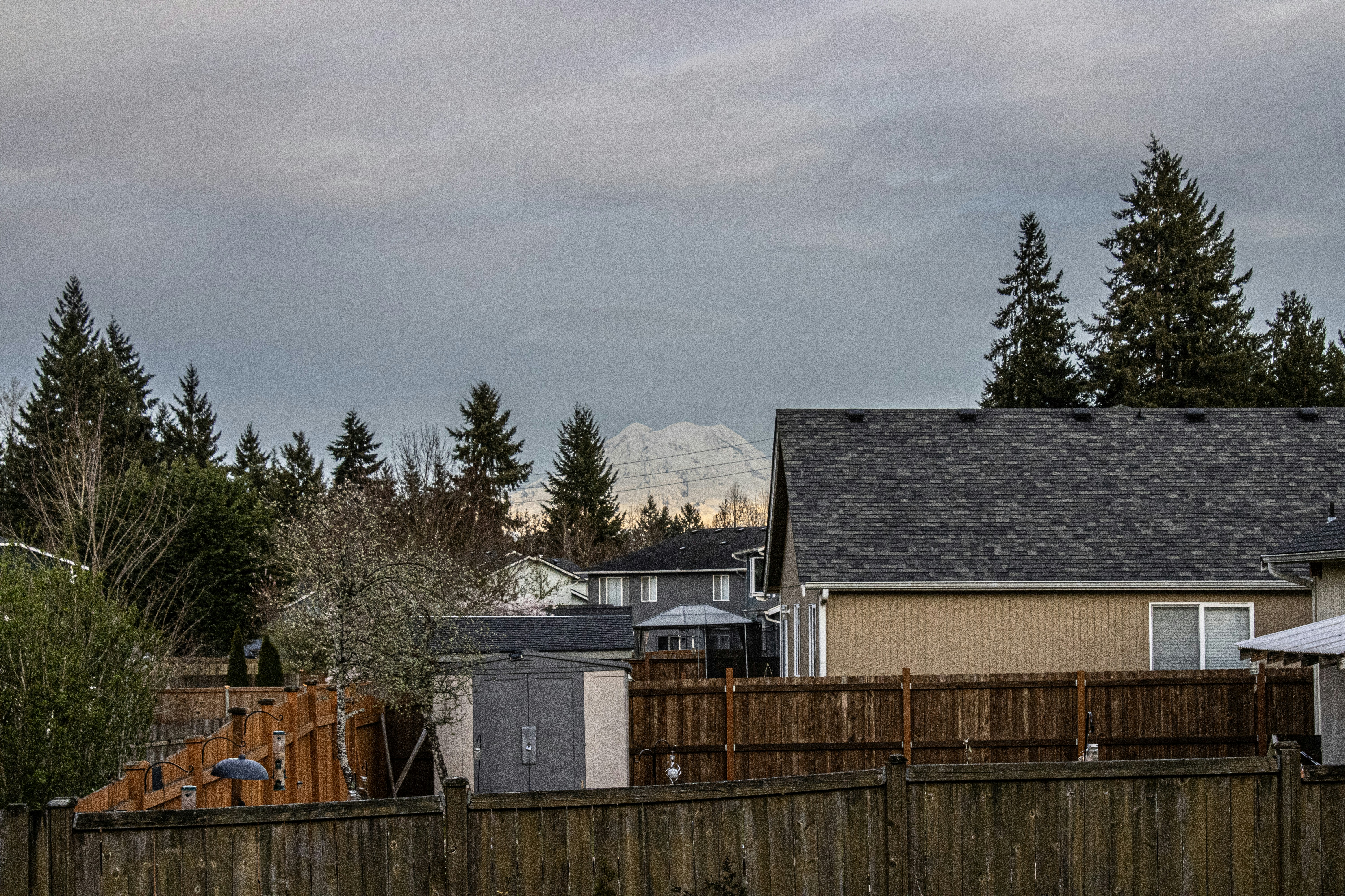 Distant Snow-Capped Peak Framed by Quiet Suburban Rooftops